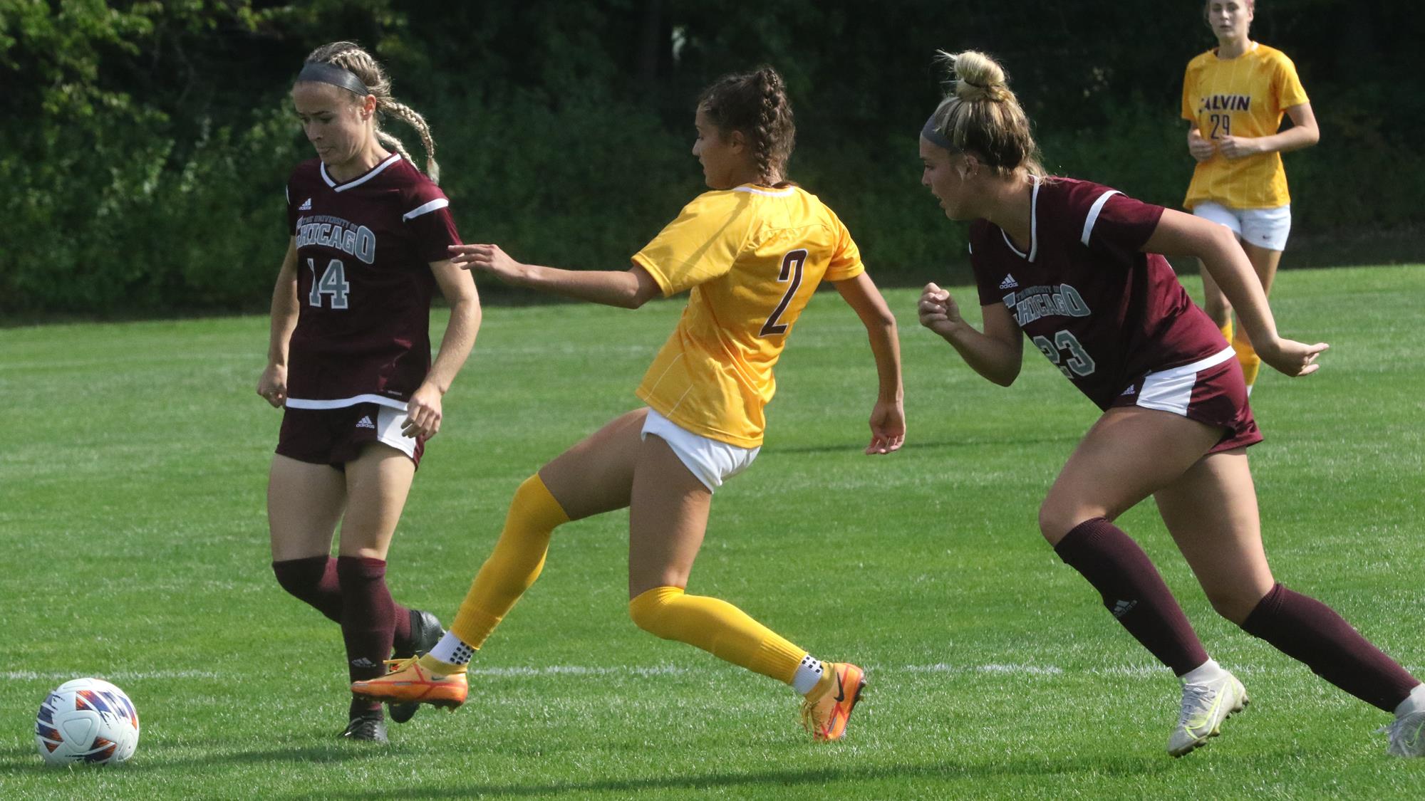 Tatum Goodling - 2022 - Women's Soccer - Calvin University
