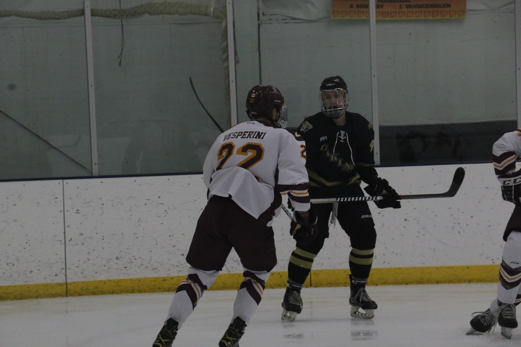 Lou Vesperini - 2022-23 - D1 ACHA - Calvin University