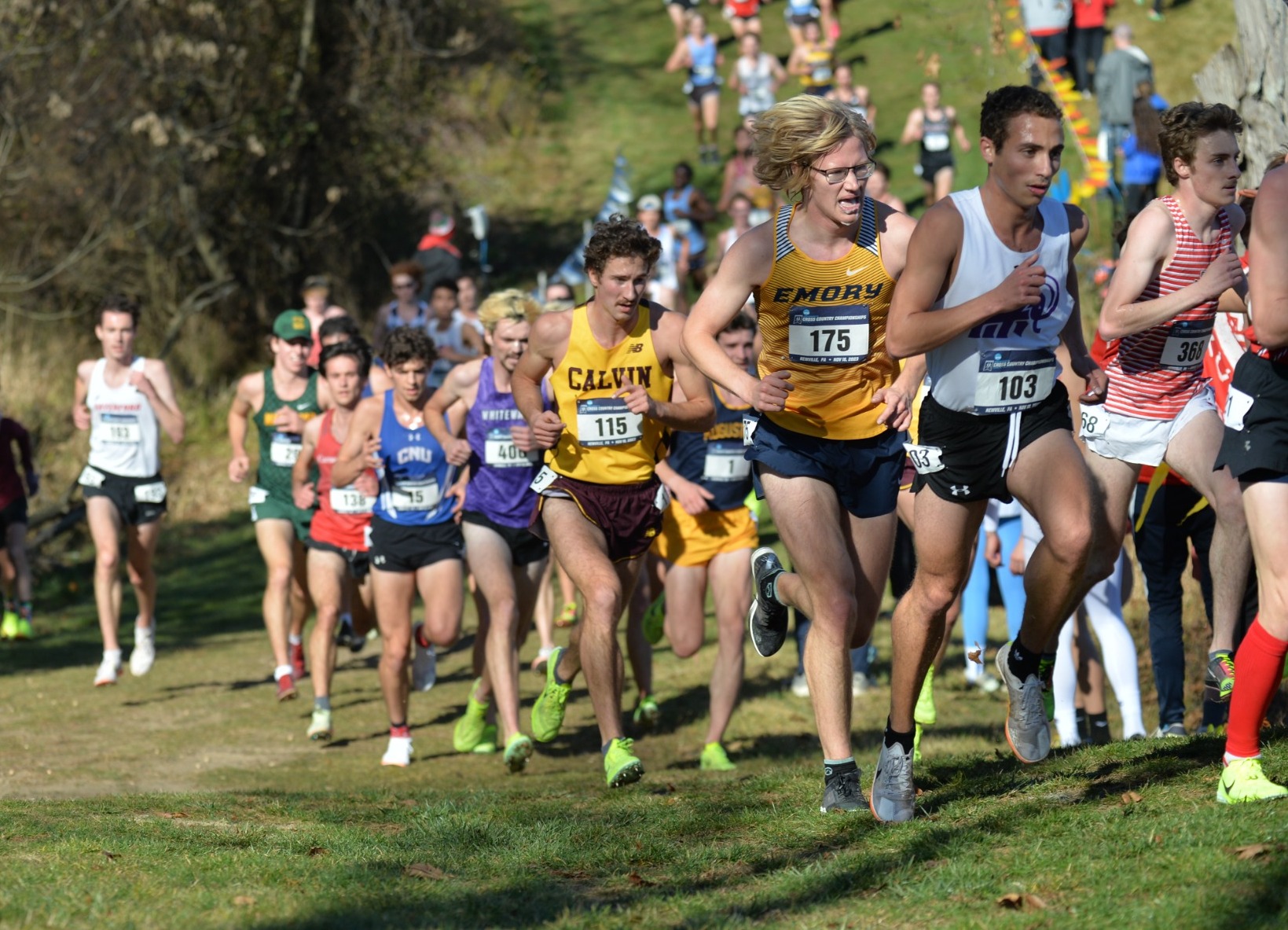 Calvin Men's Cross Country Team Receives At-Large Berth to 2023 NCAA ...
