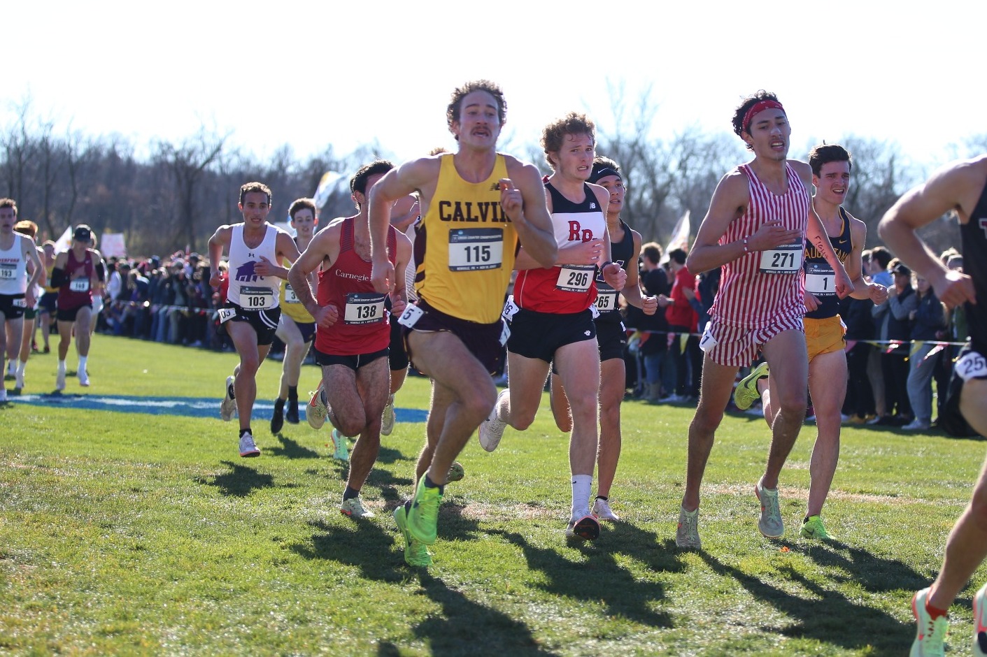 Will Hofmann - 2023 - Men's Cross Country - Calvin University