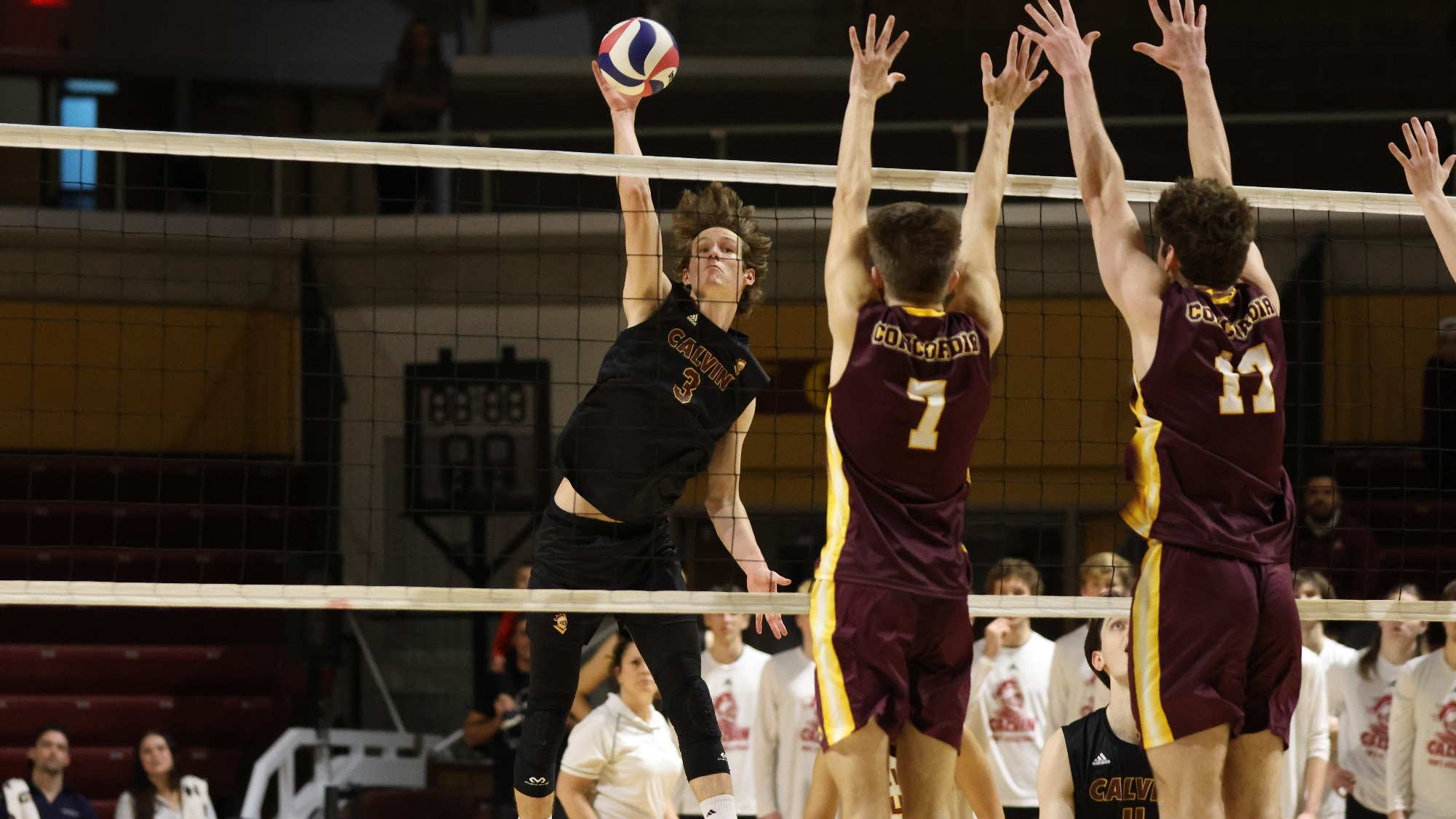 Arie Padmos - 2024 - Men's Volleyball - Calvin University