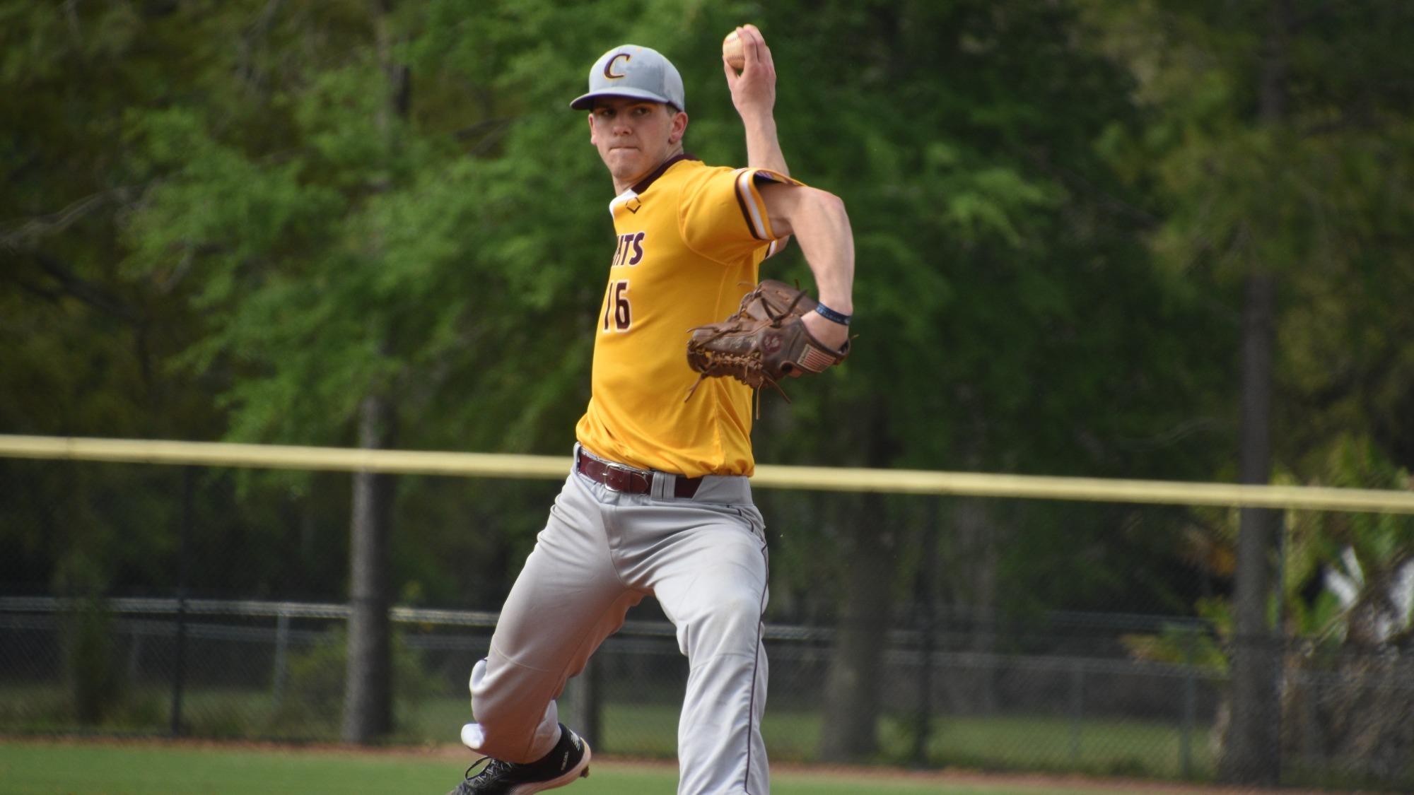 Calvin Baseball Drops Both Games to Third-Ranked Denison - Calvin ...