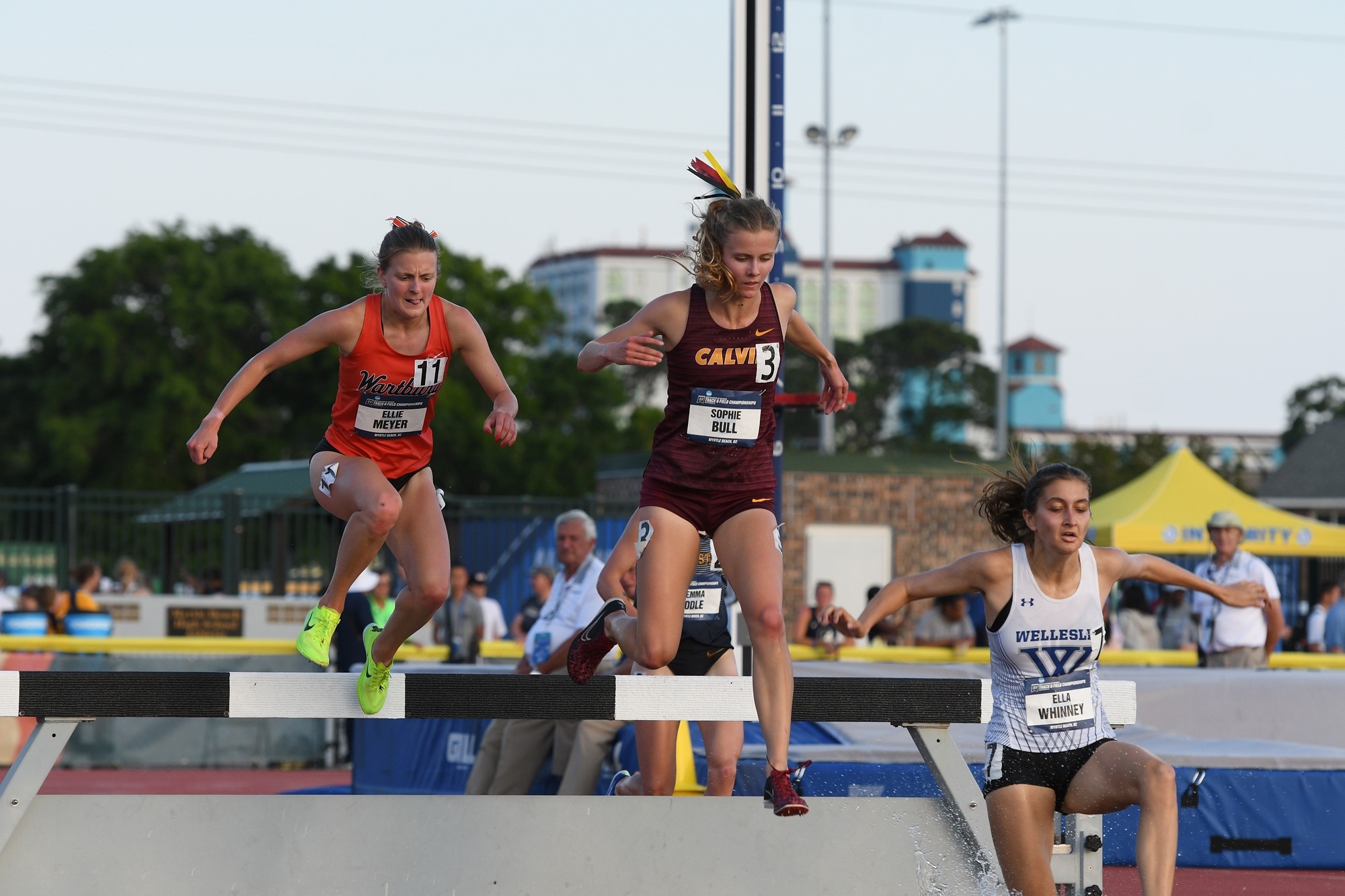 Calvin's Jenna Allman and Sophie Bull Qualify for NCAA III ...