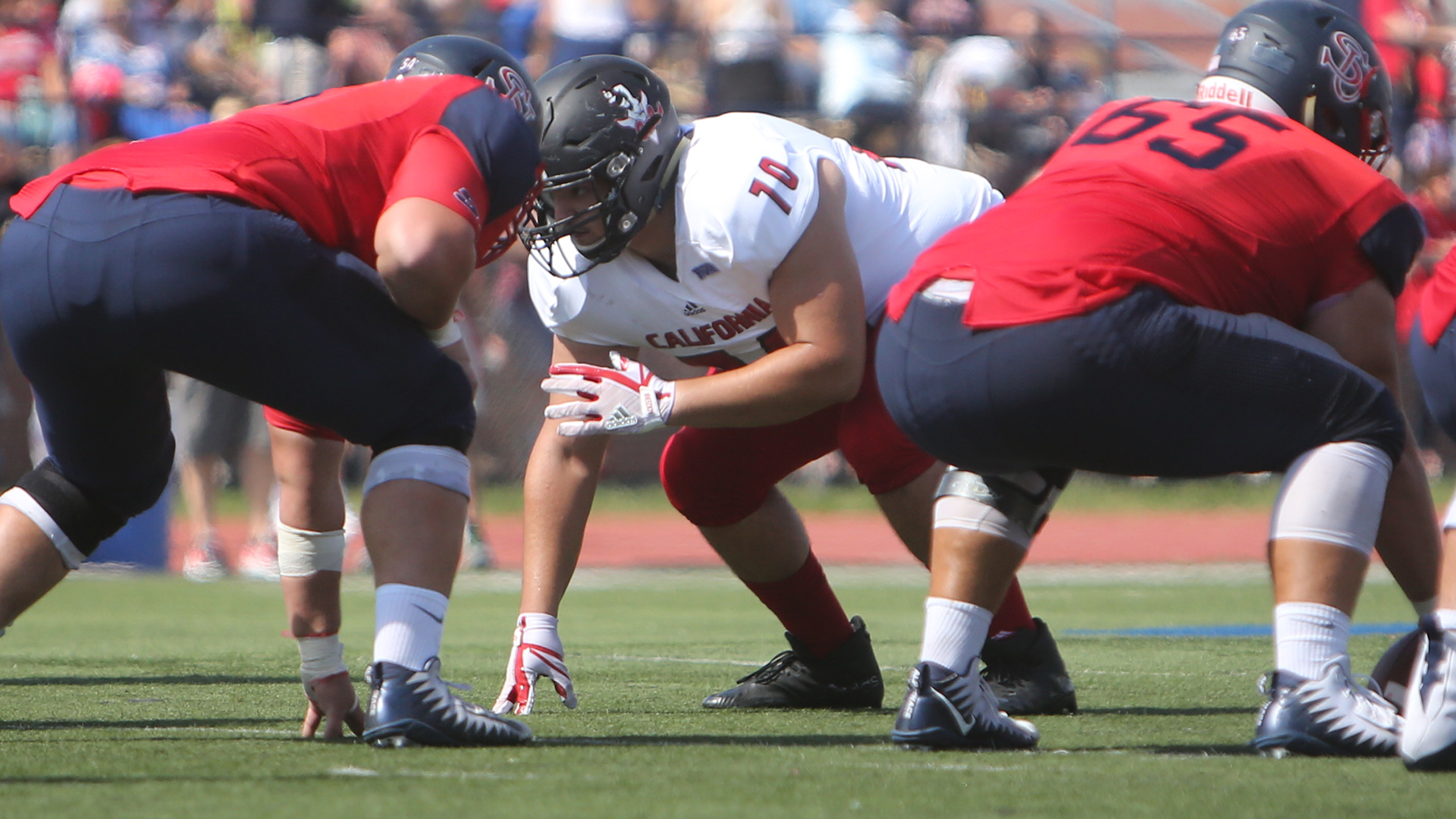 Timothy Quigley - Football - California University of Pennsylvania ...