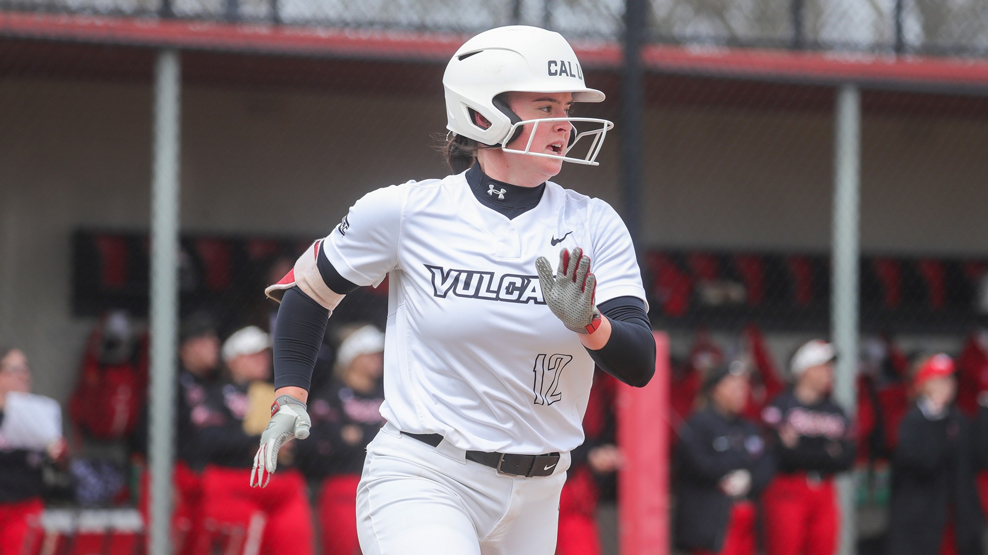 Softball sweeps twinbill at Gannon - California University of ...