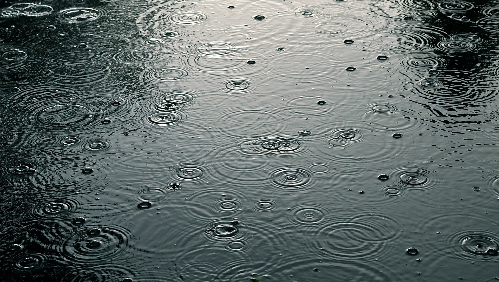 Rainouts alter baseball, softball, track schedulese - Rutgers-Camden ...