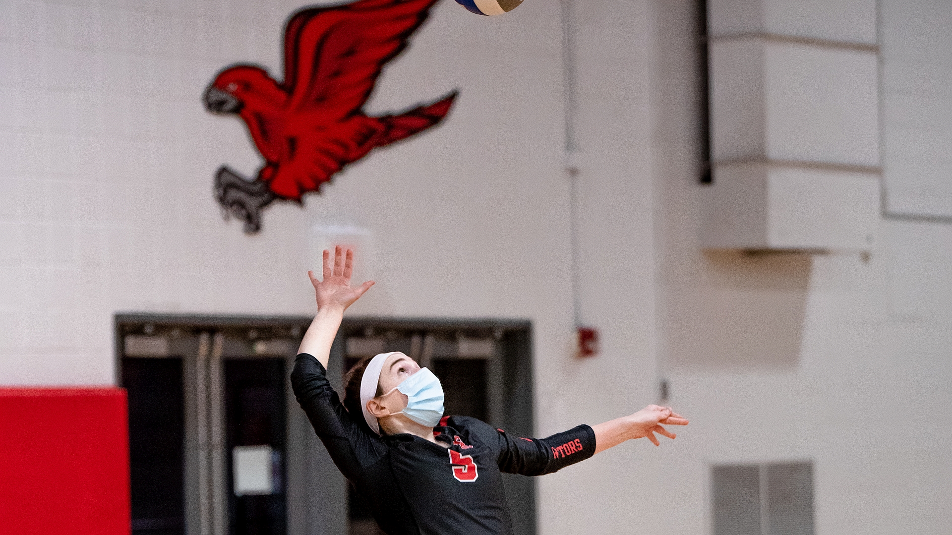 Haley Novak - Women's Volleyball - Rutgers-Camden Athletics