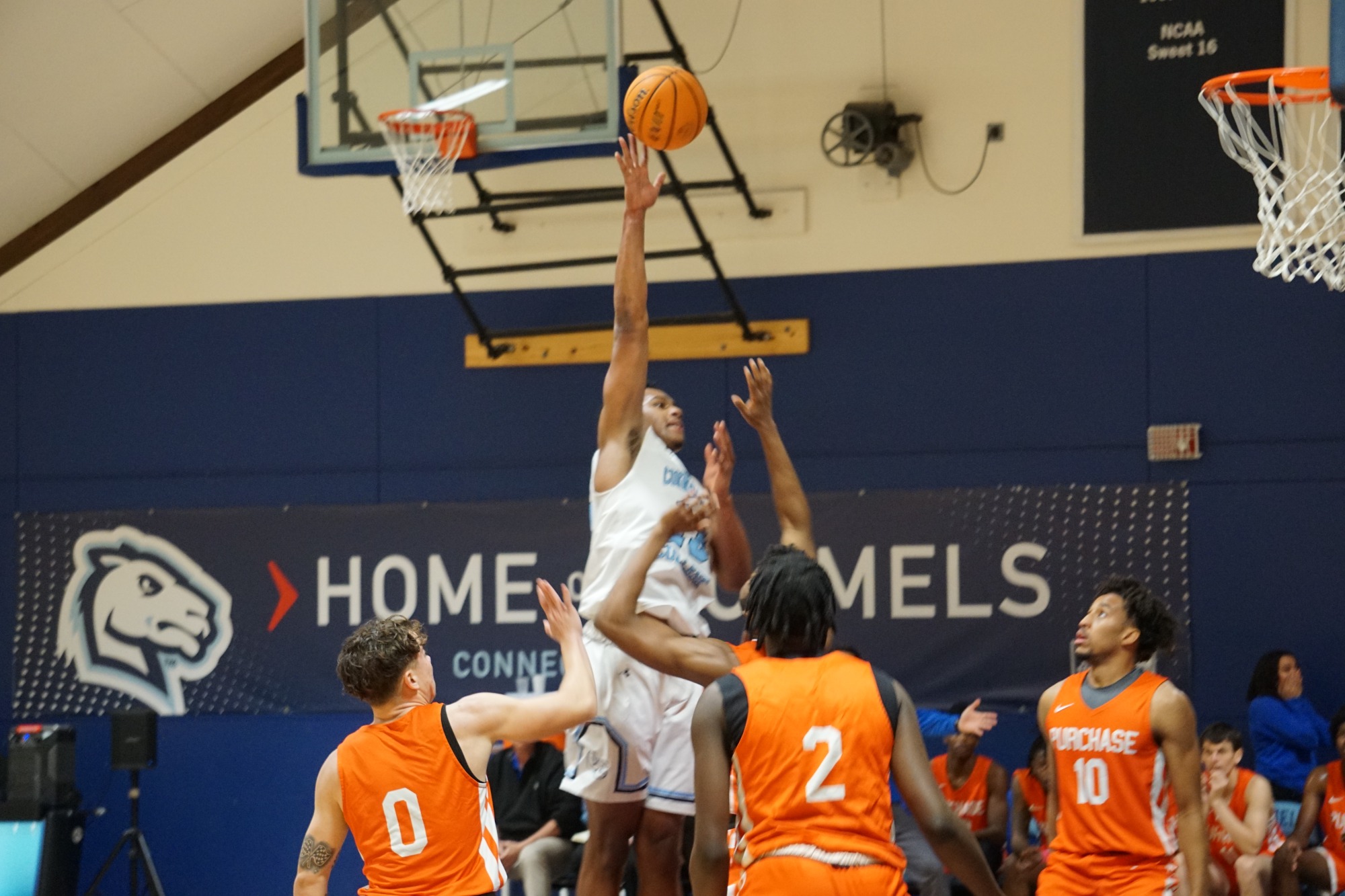 Men's Basketball Cruises Past Purchase - Connecticut College