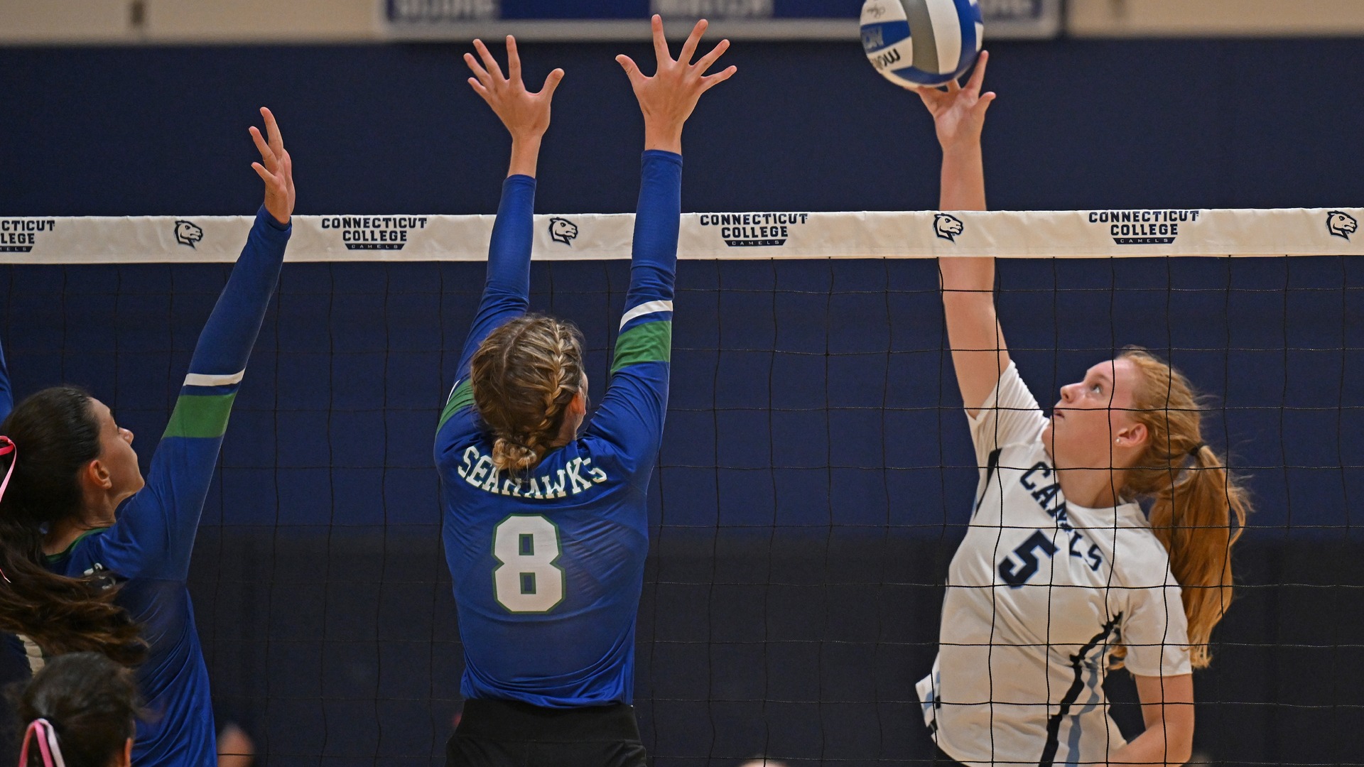 Volleyball Falls 3-0 to Hamilton - Connecticut College