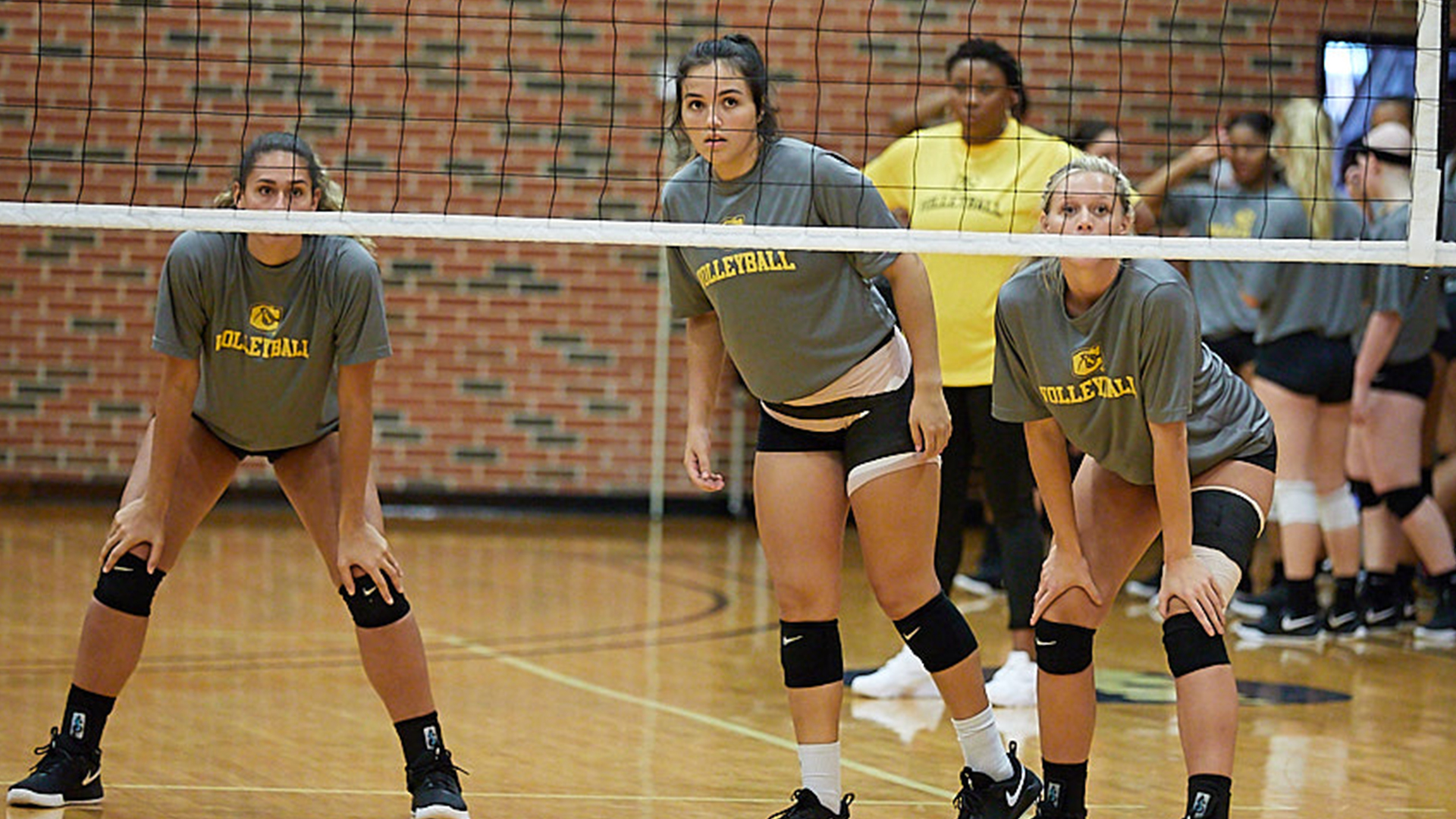 Katherine Manning - Volleyball - Cameron University Athletics