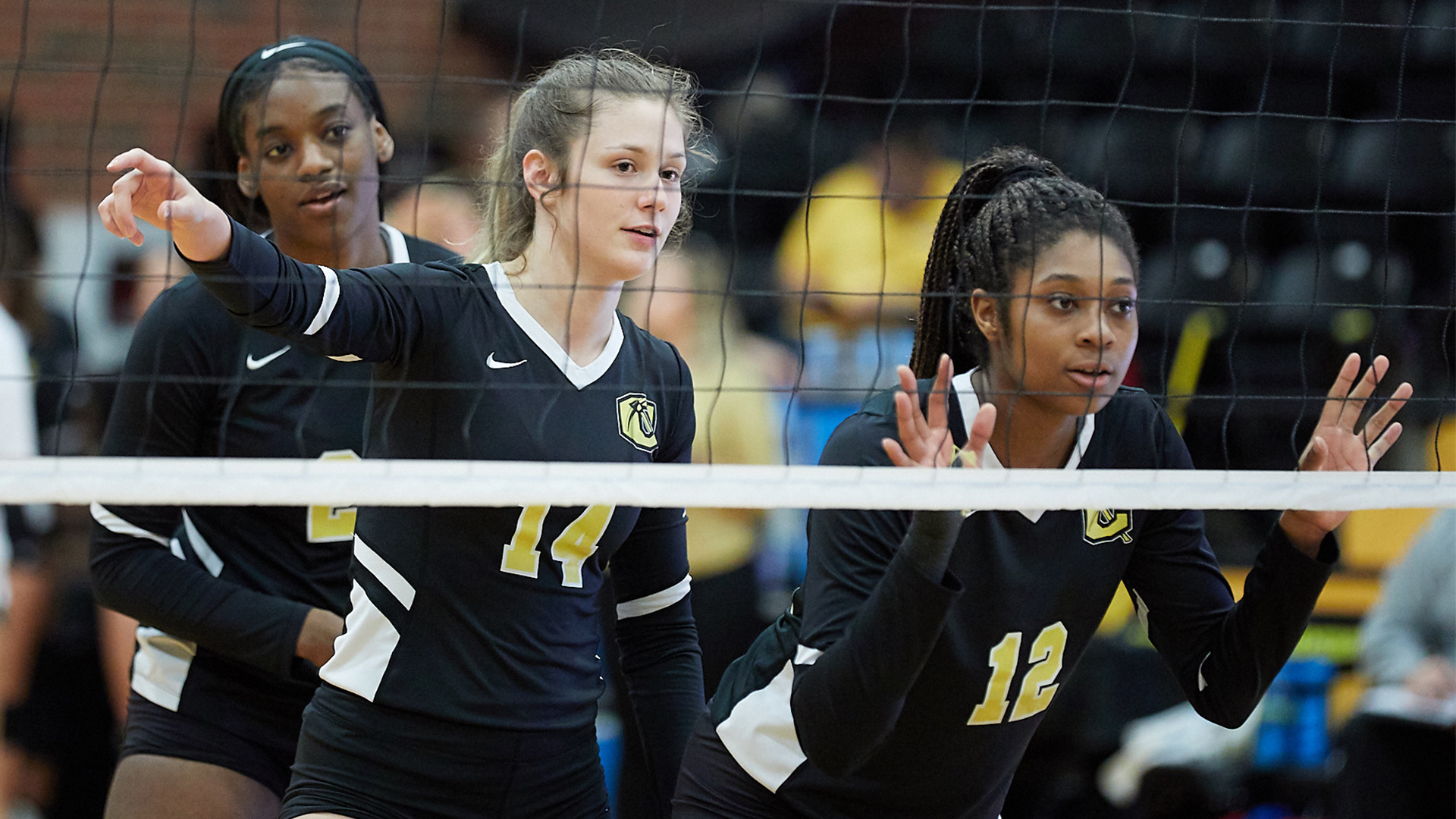 Caitlyn Henderson - Volleyball - Cameron University Athletics