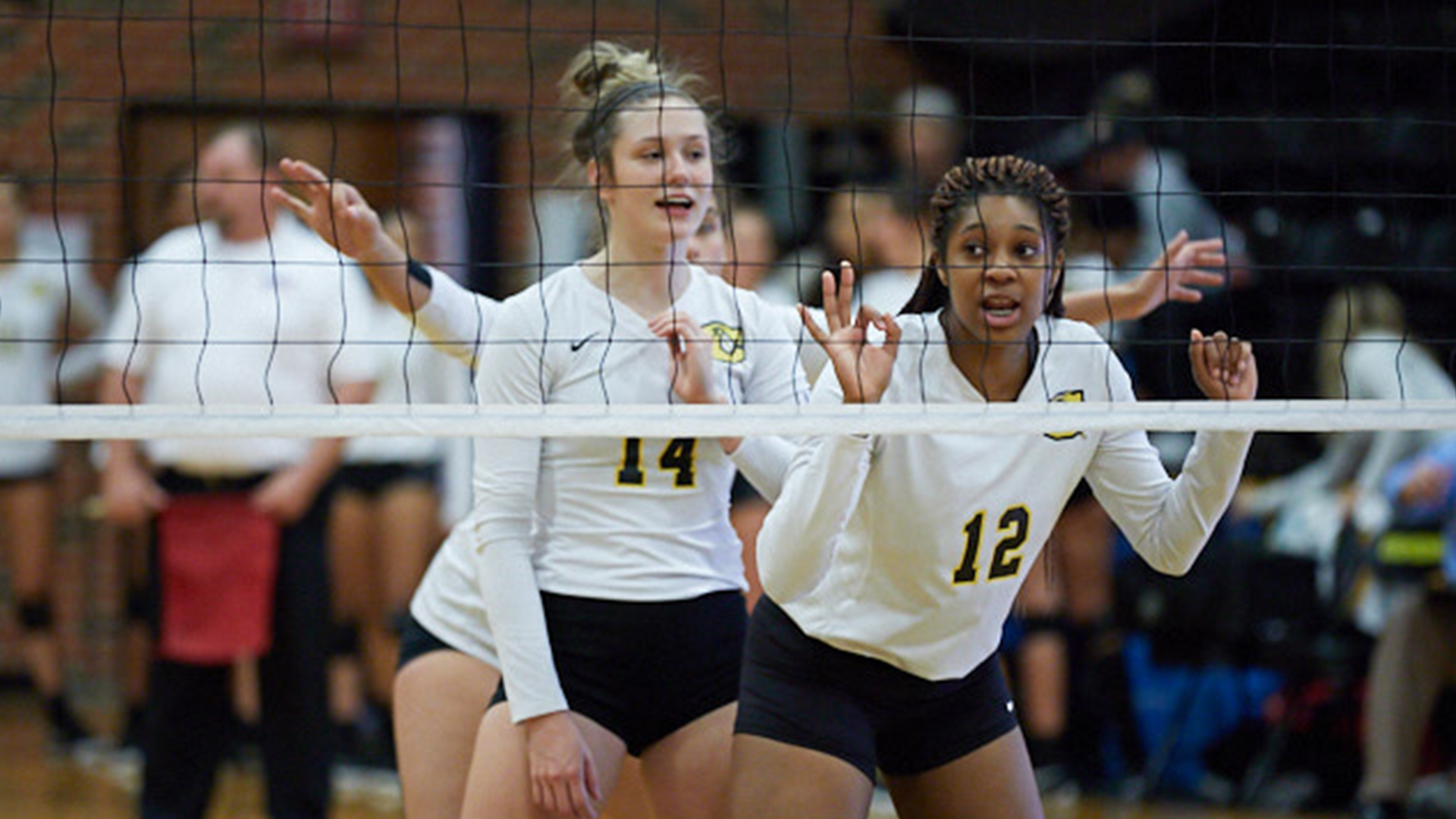 Sarah Wright - Volleyball - Cameron University Athletics