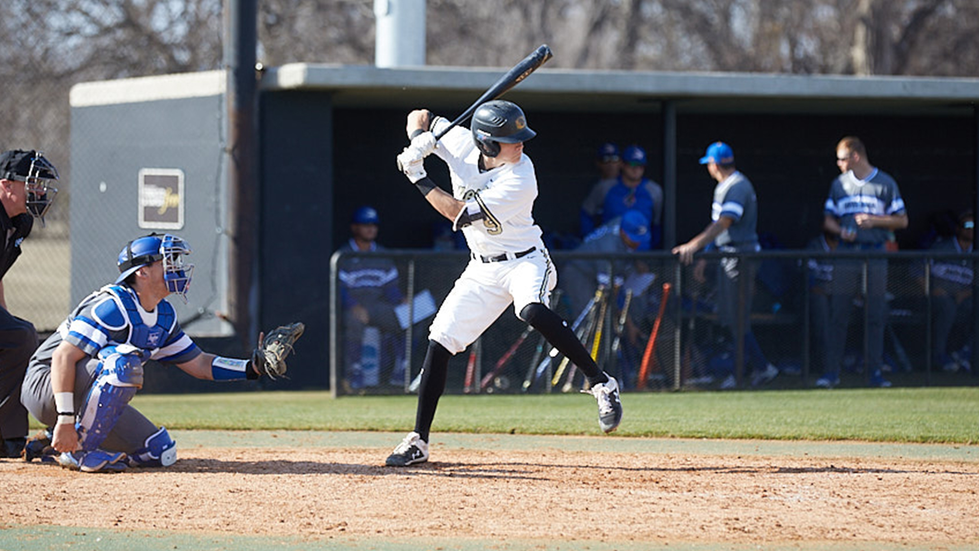 Cameron falls in rain-delayed marathon, splits series with Tarleton ...