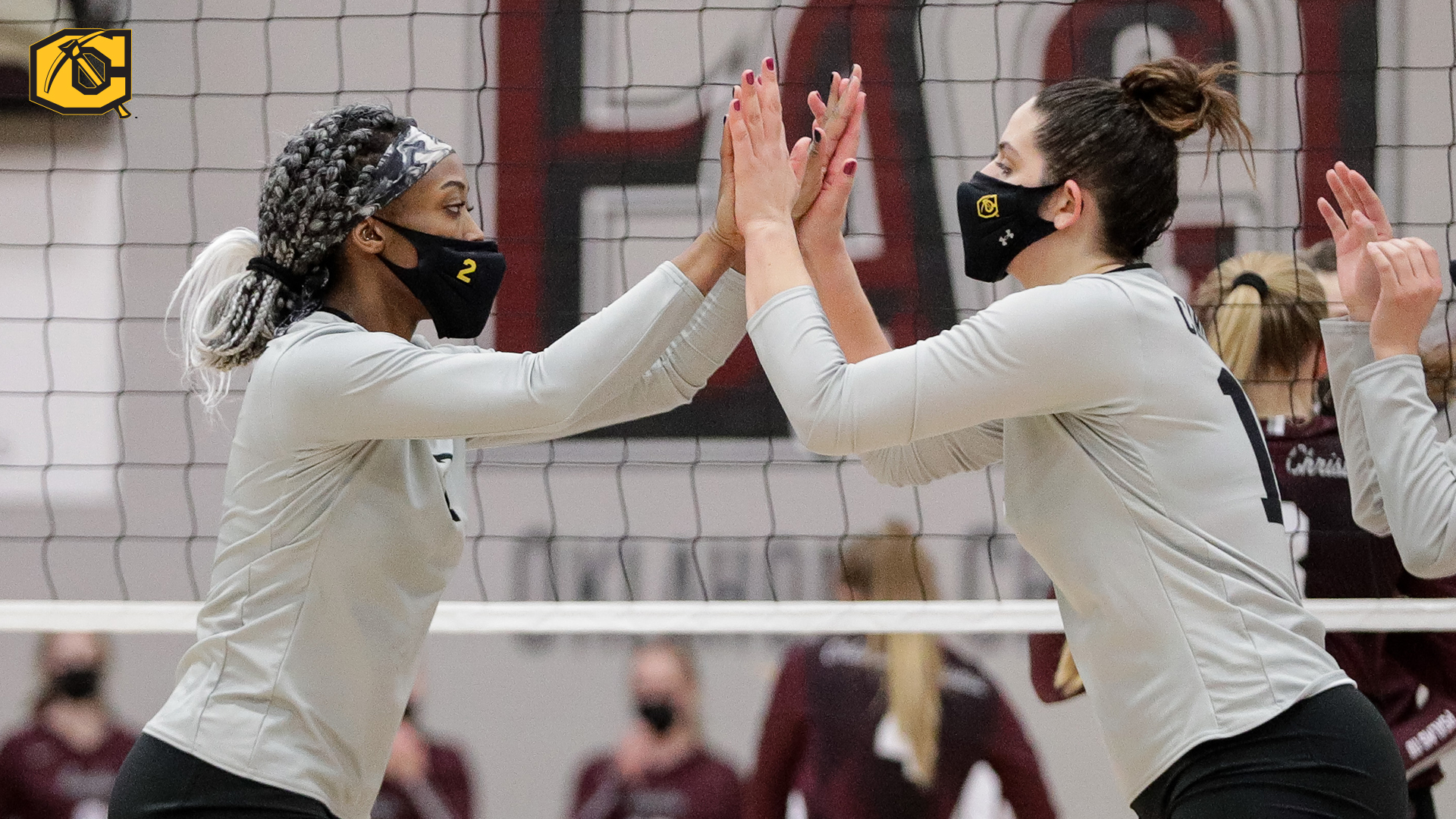 Natalia Araujo - Volleyball - Cameron University Athletics