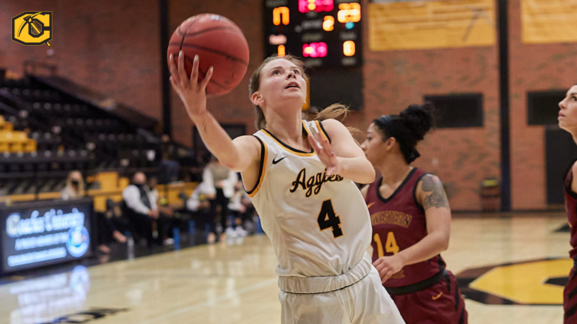 Aggies beat TWU behind Hedge's big night, will host MSU in LSC ...