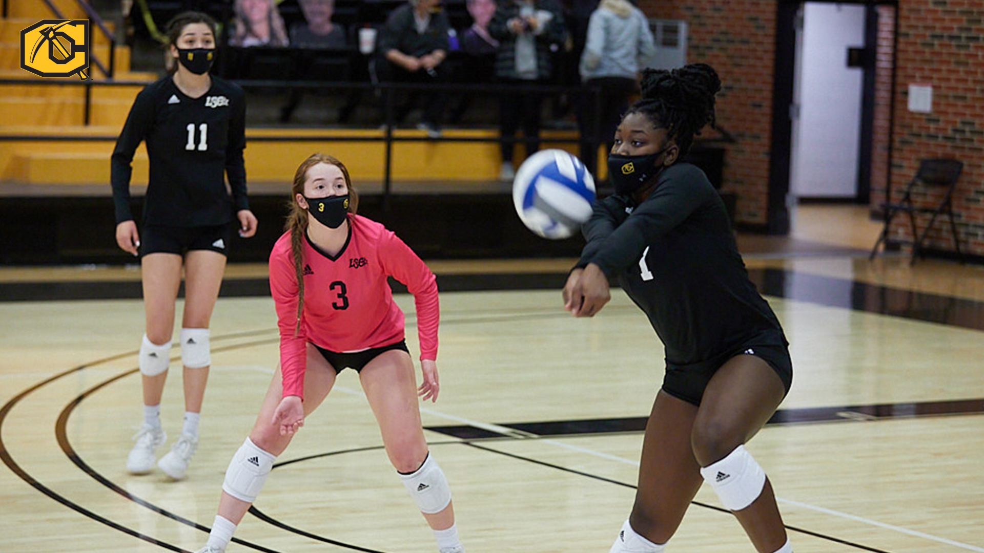 Presley Shearin - Volleyball - Cameron University Athletics