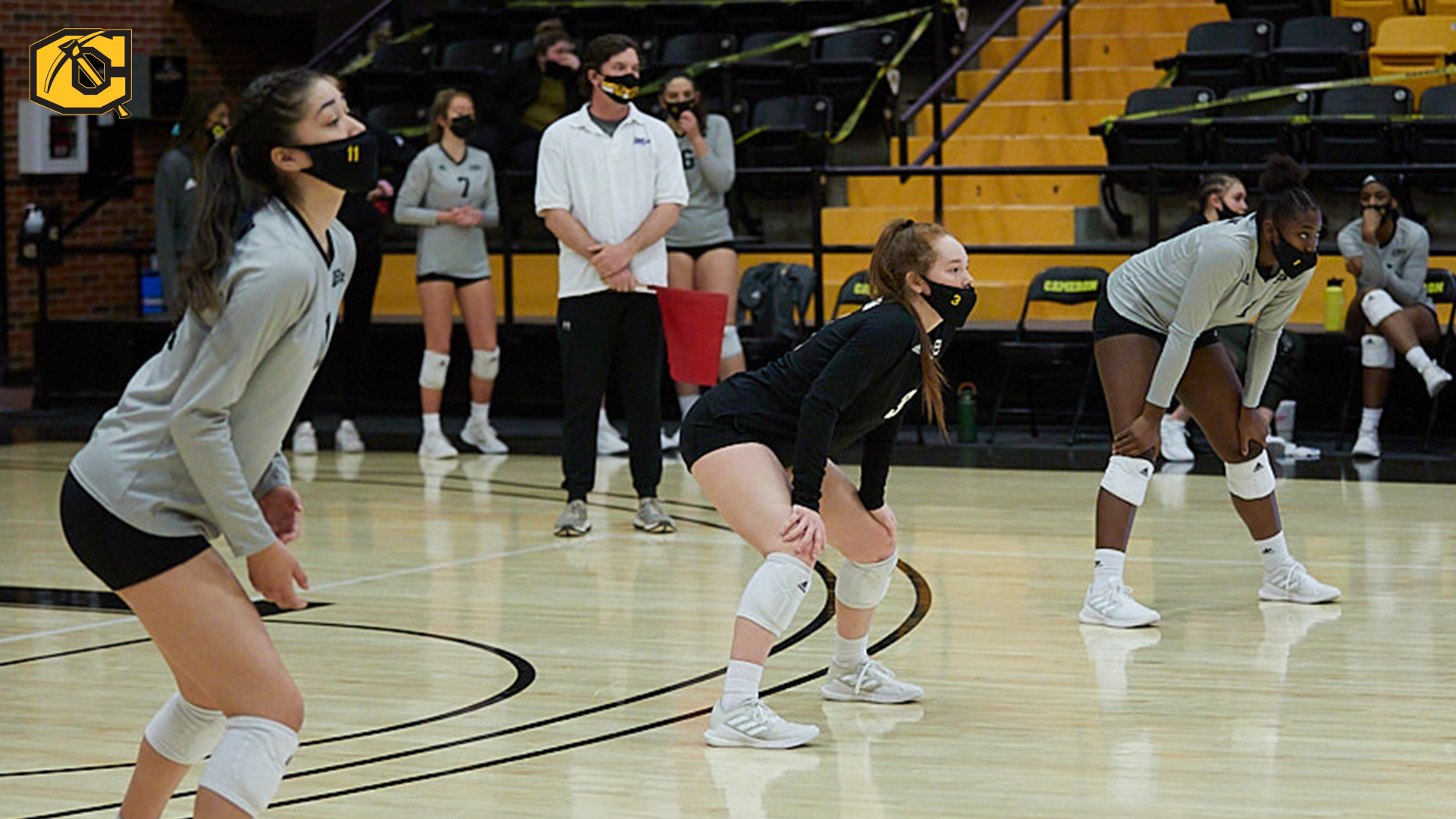 Aggies take set one from UAFS, fall in four in season finale - Cameron ...