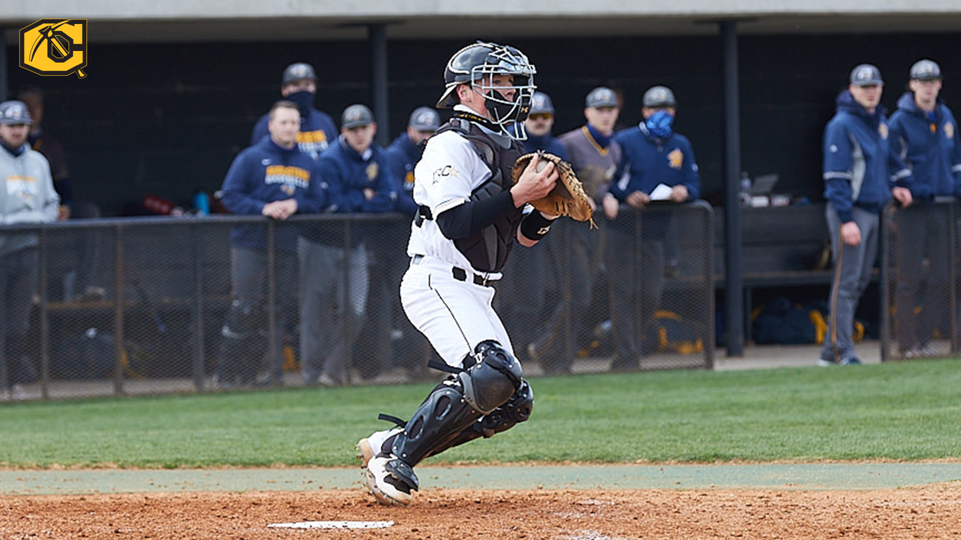 Late-inning runs trouble Aggies in a pair of losses to the Lions ...