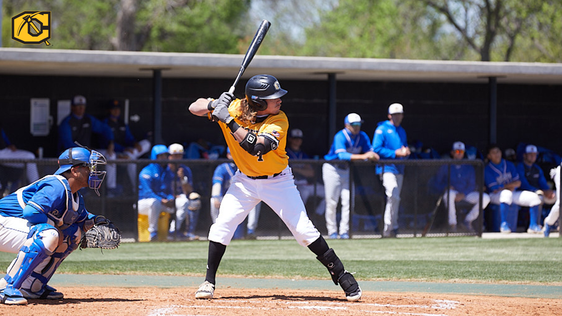 Ryan Carter - Baseball - Cameron University Athletics