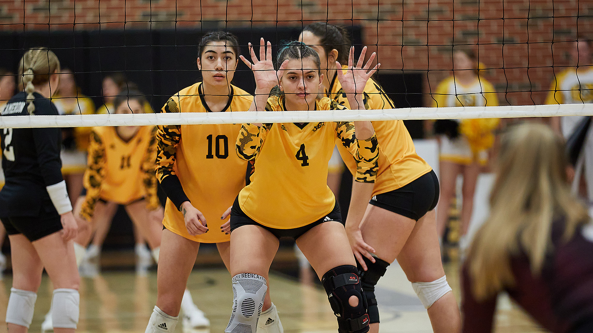 Jessica Lipkit - Volleyball - Cameron University Athletics