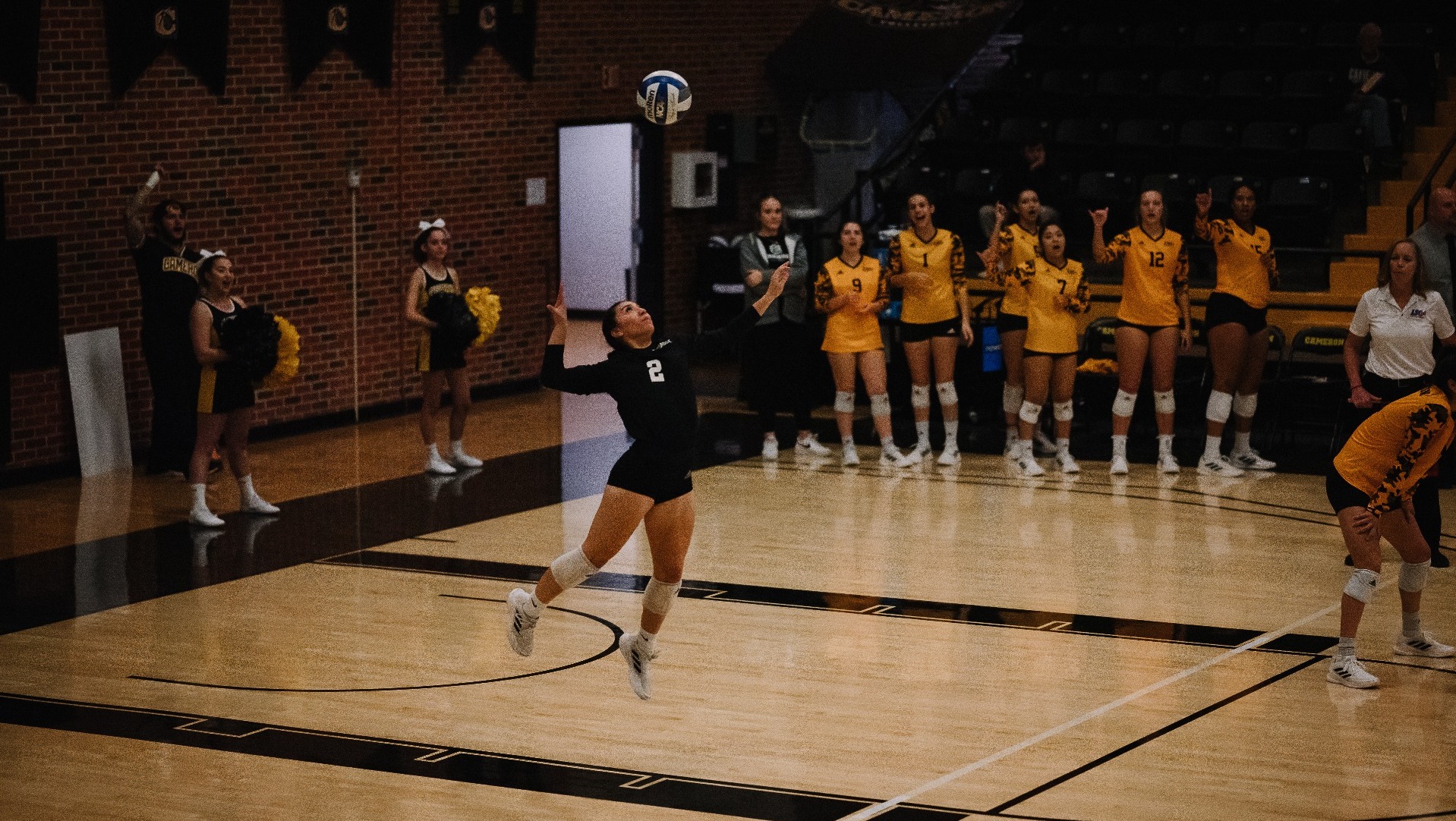 Meagan Jimenez - Volleyball - Cameron University Athletics