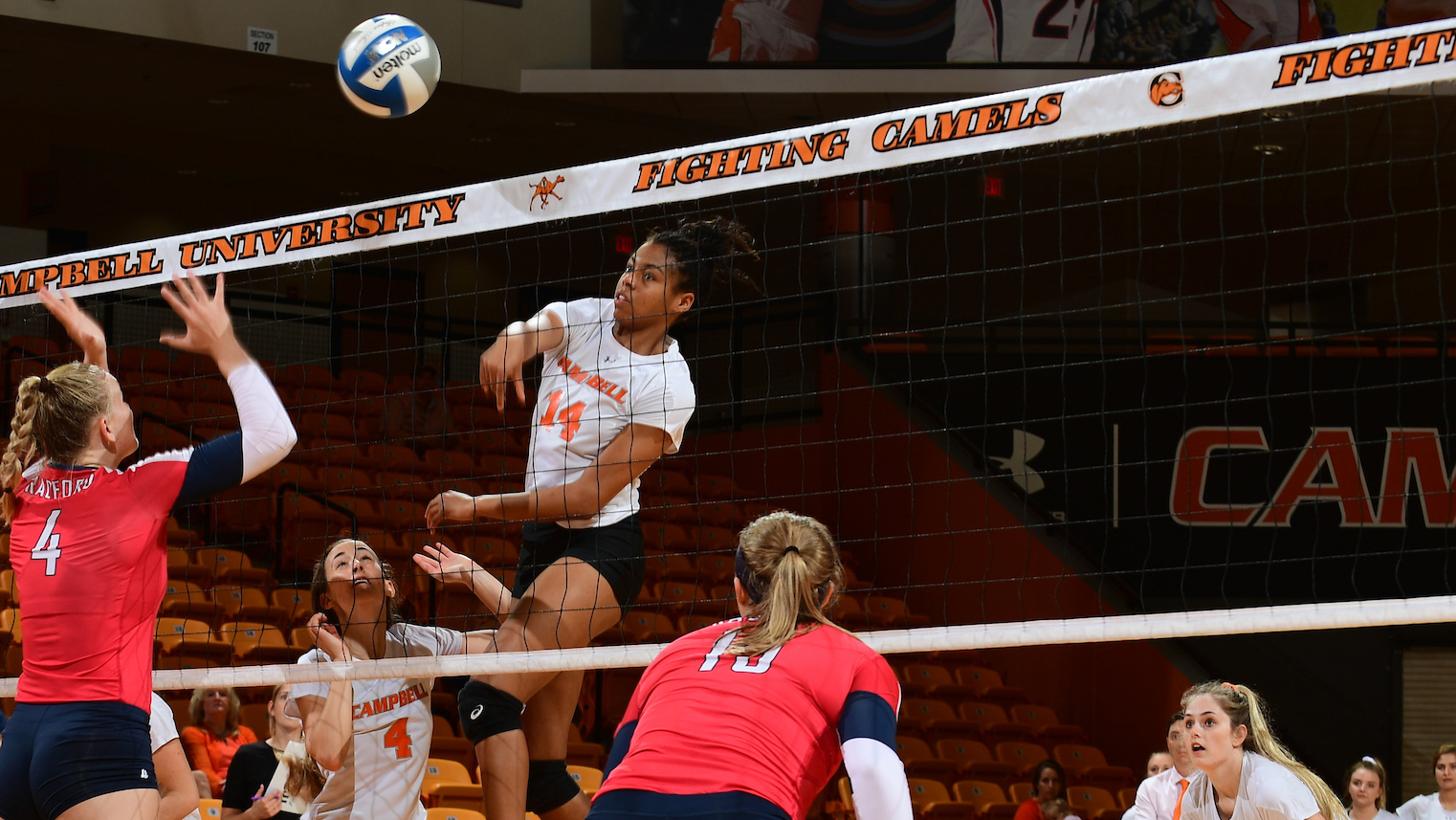 Alysha Mitchell - Volleyball - Campbell University