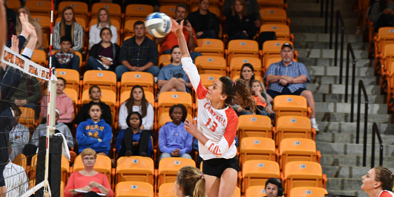 Rachel Harty - Volleyball - Campbell University