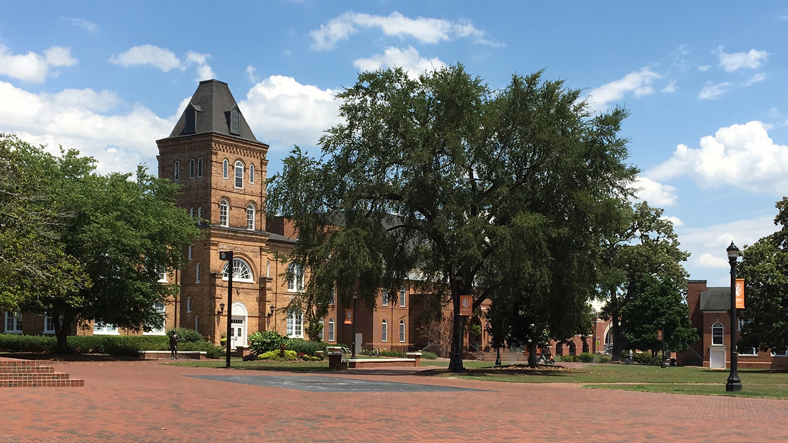 Campbell Athletics unveils new visual identity - Campbell University