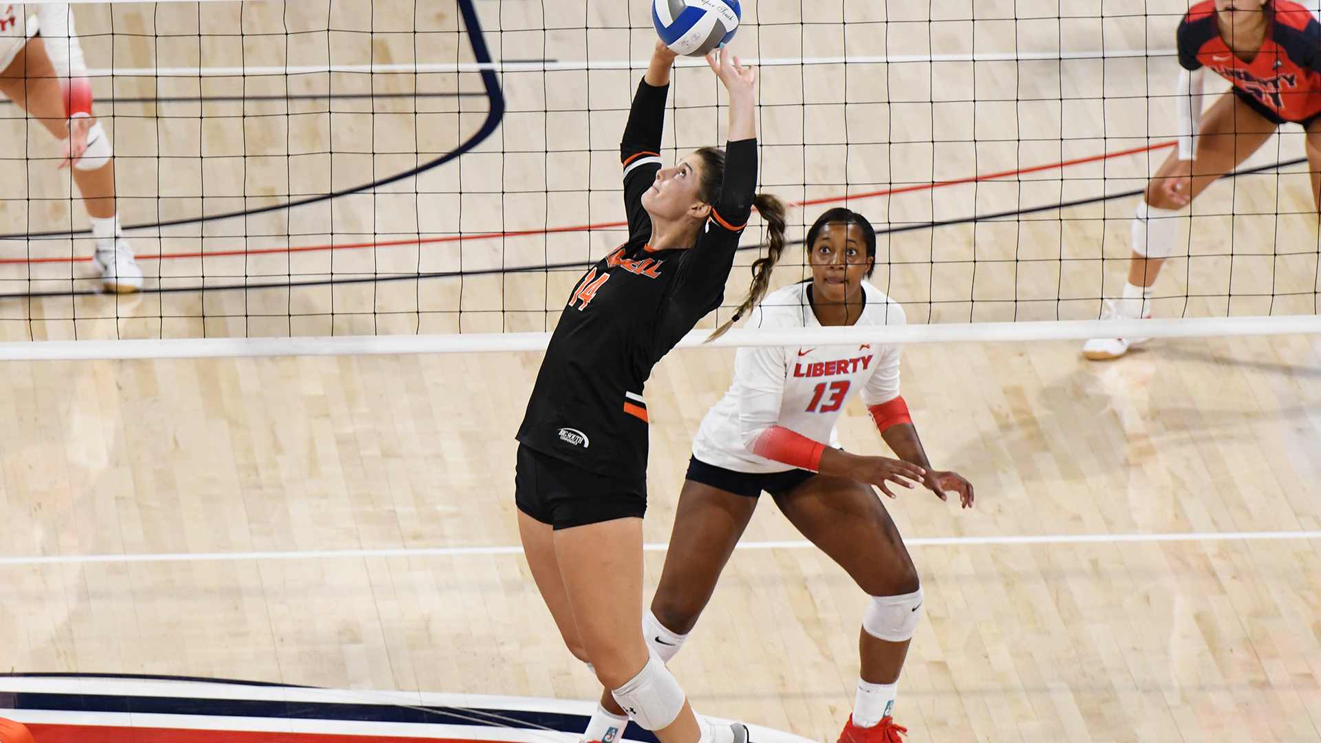 McKenna Sciacca - Volleyball - Campbell University