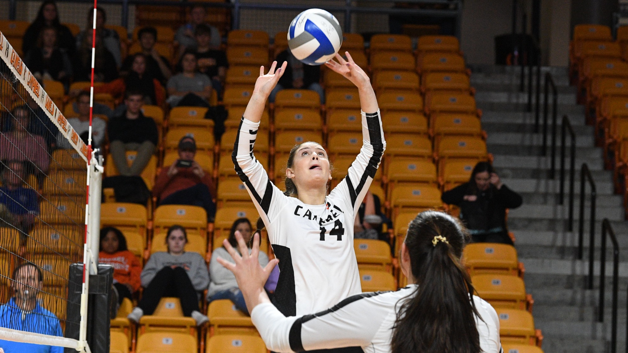 McKenna Sciacca - Volleyball - Campbell University