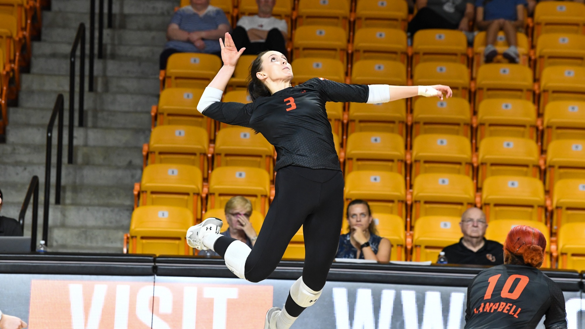 Chloe Cook - Volleyball - Campbell University