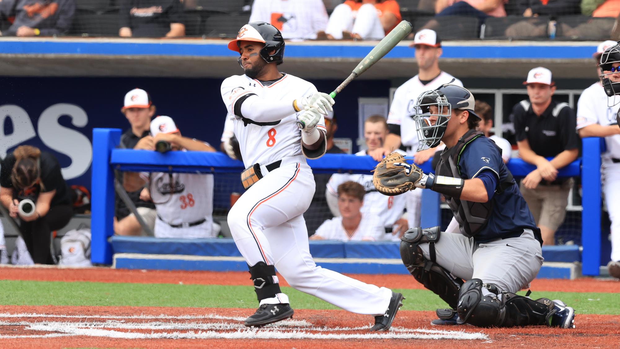 Waldy Arias - Baseball - Campbell University