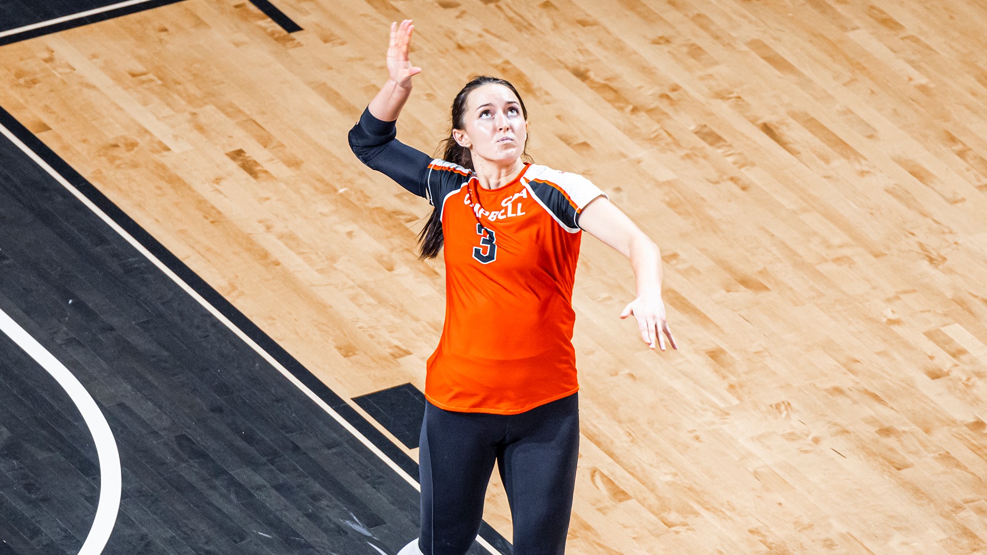 Chloe Cook - Volleyball - Campbell University