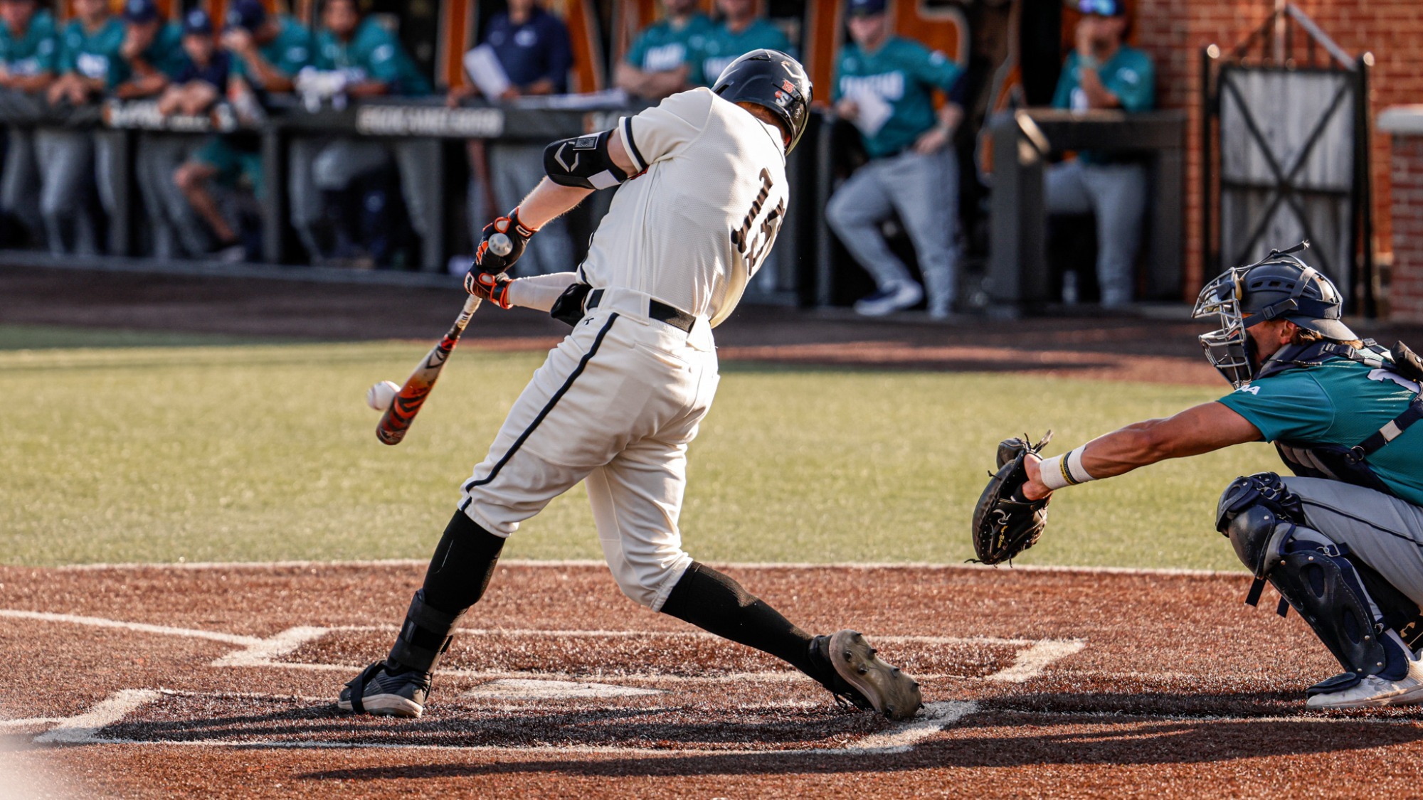 Lawson Harrill - Baseball - Campbell University