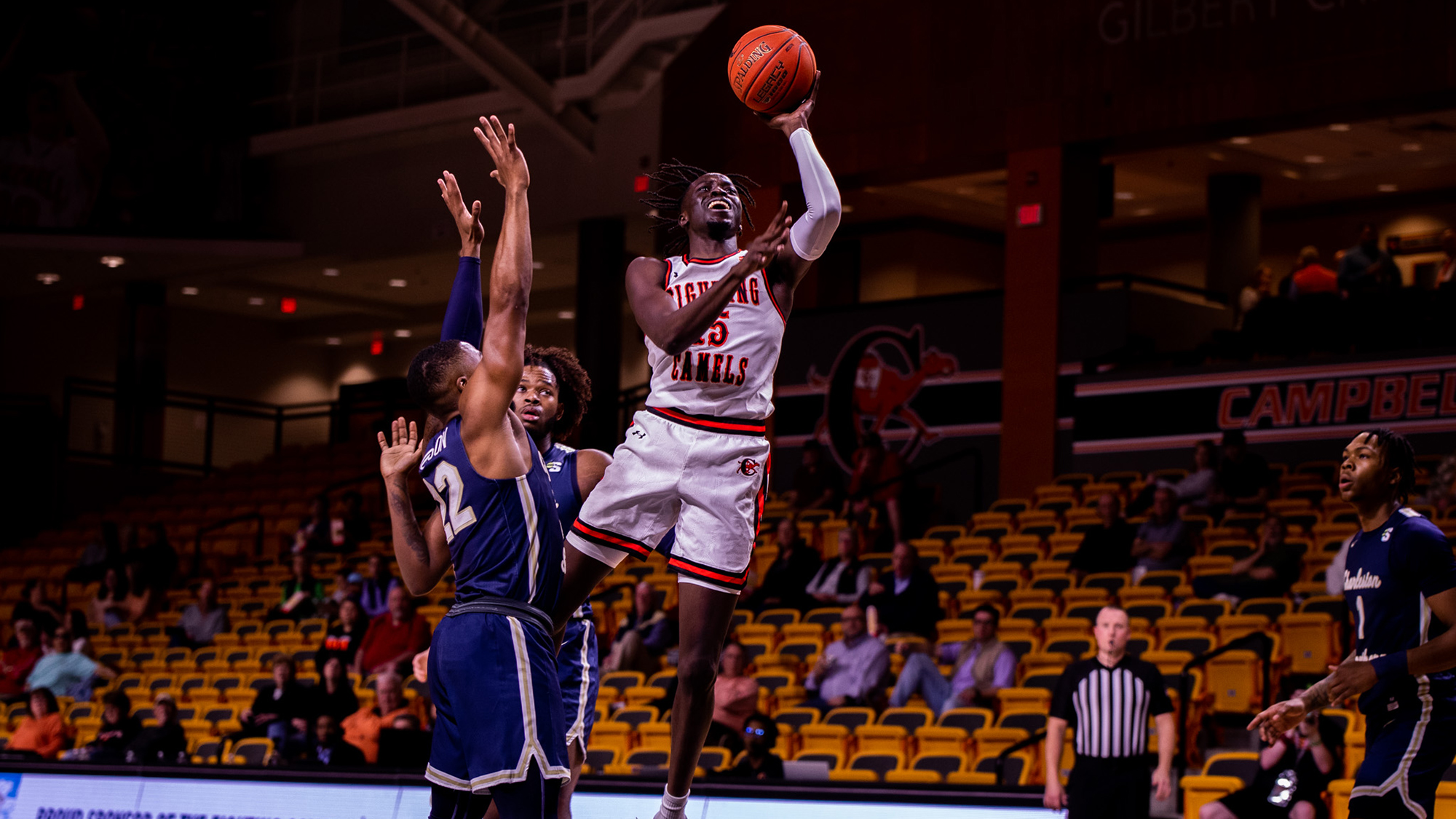 Jay Pal - Men's Basketball - Campbell University