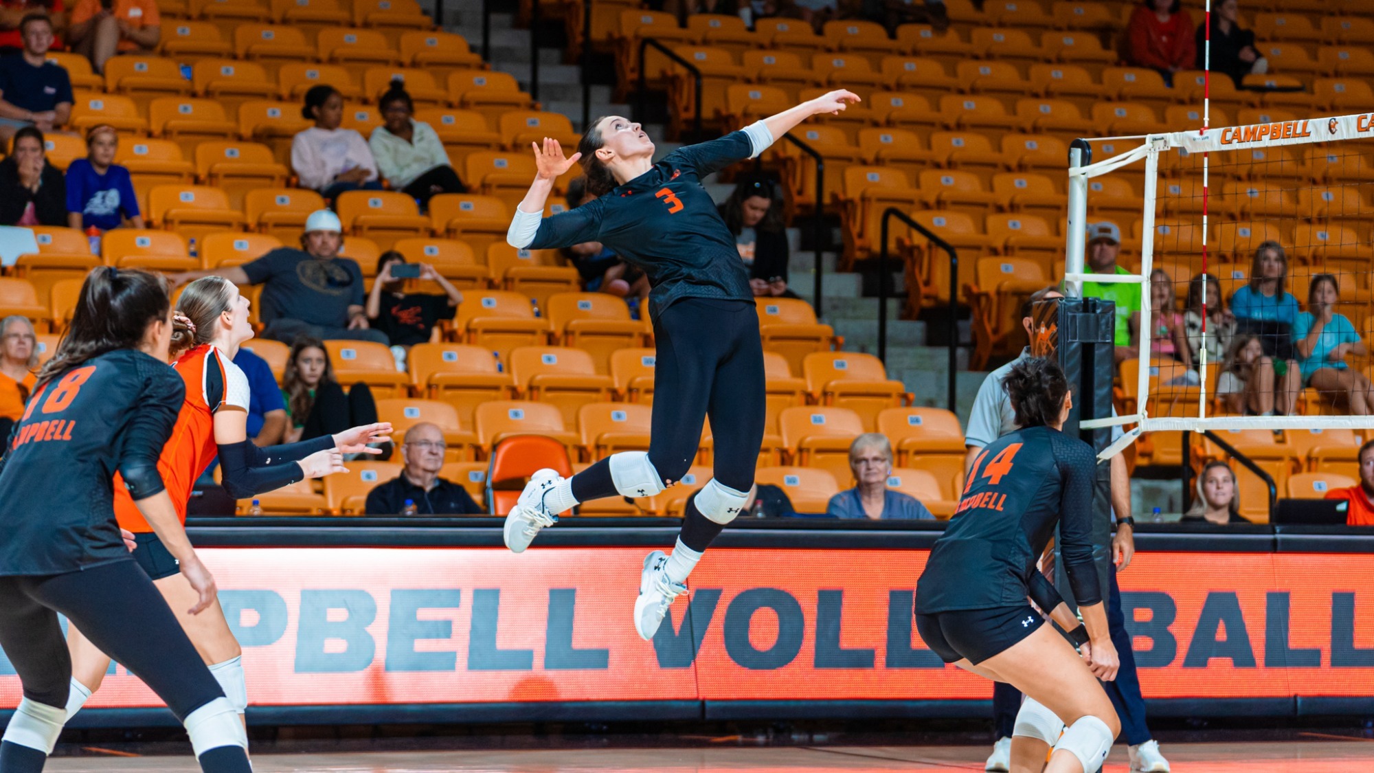 Chloe Cook - Volleyball - Campbell University