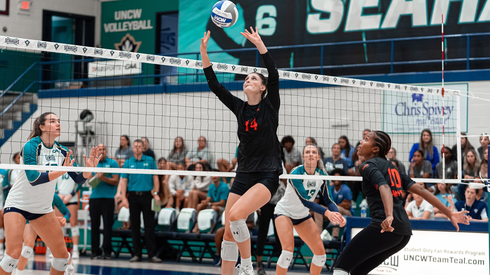 McKenna Sciacca - Volleyball - Campbell University