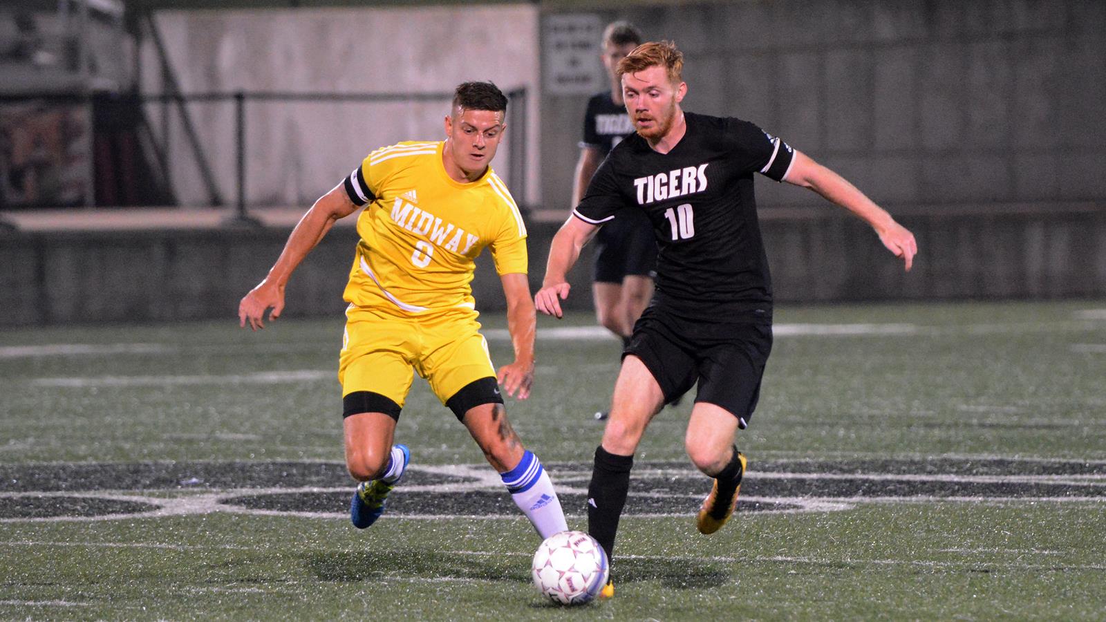 Ross Lindsay - Men's Soccer - Campbellsville University Athletics