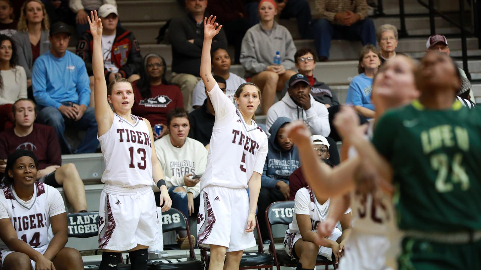 Madison Clements - Women's Basketball - Campbellsville University Athletics