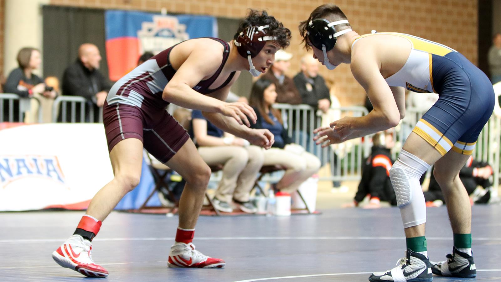 Jordan Martinez - Men's Wrestling - Campbellsville University Athletics