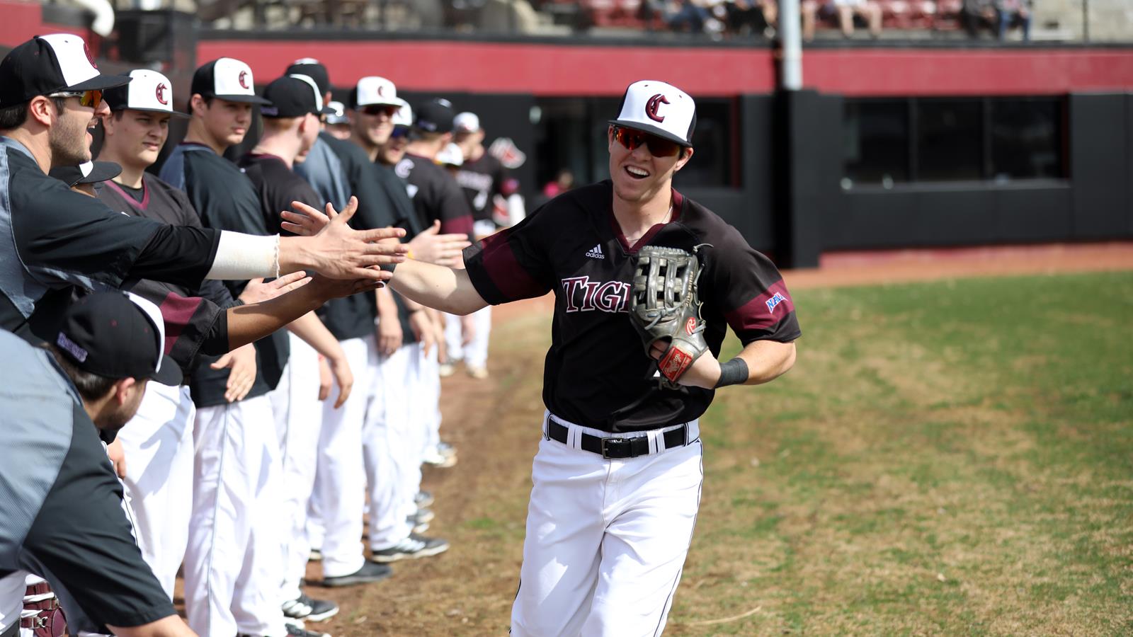 Connor Lowrie - Baseball - Campbellsville University Athletics