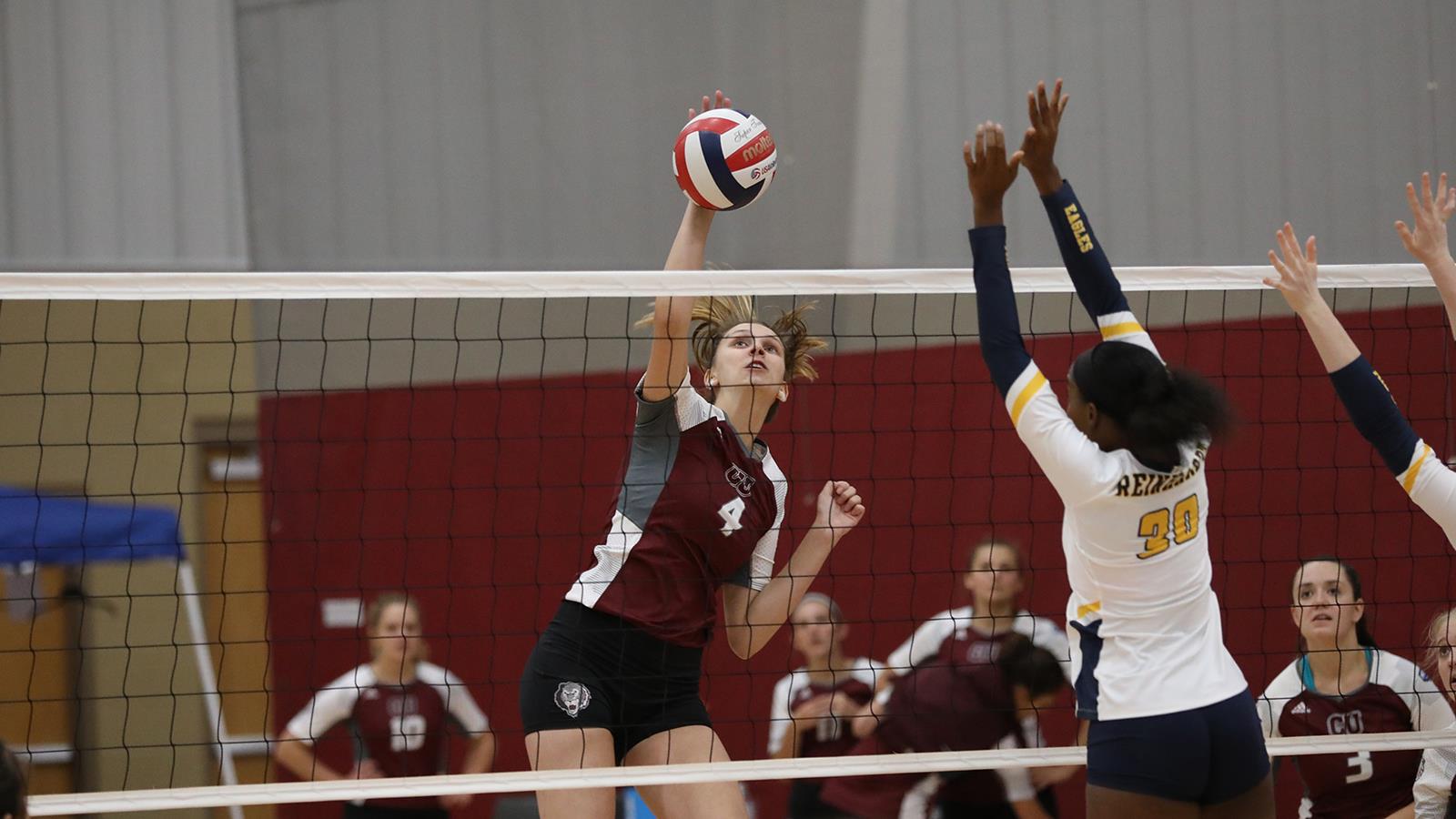 Julia Fonseca - Women's Volleyball - Campbellsville University Athletics