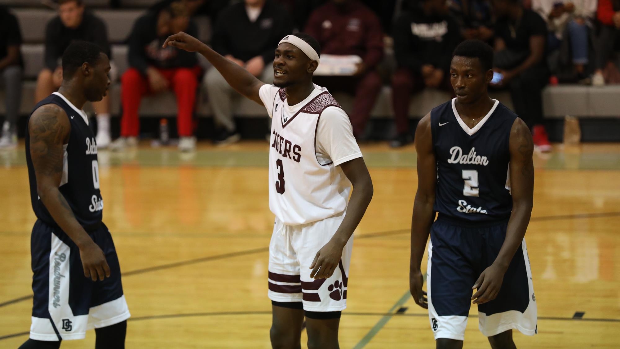 Alston Davis - Men's Basketball - Campbellsville University Athletics