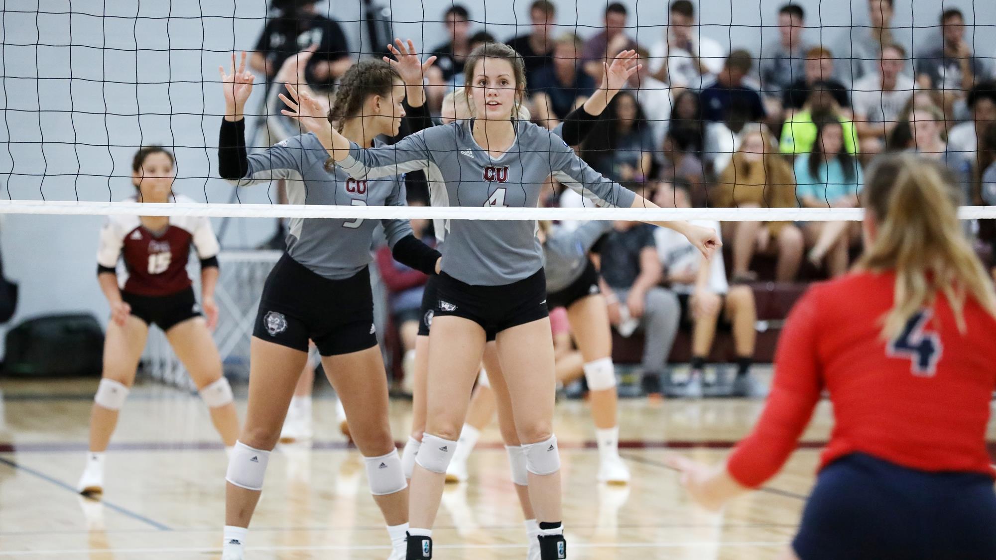 Kymbra Kirby - Women's Volleyball - Campbellsville University Athletics