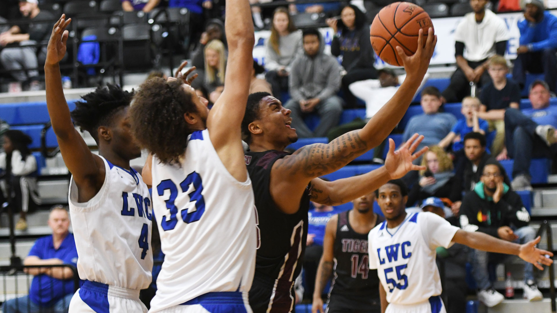 Richie Mitchell - Men's Basketball - Campbellsville University Athletics