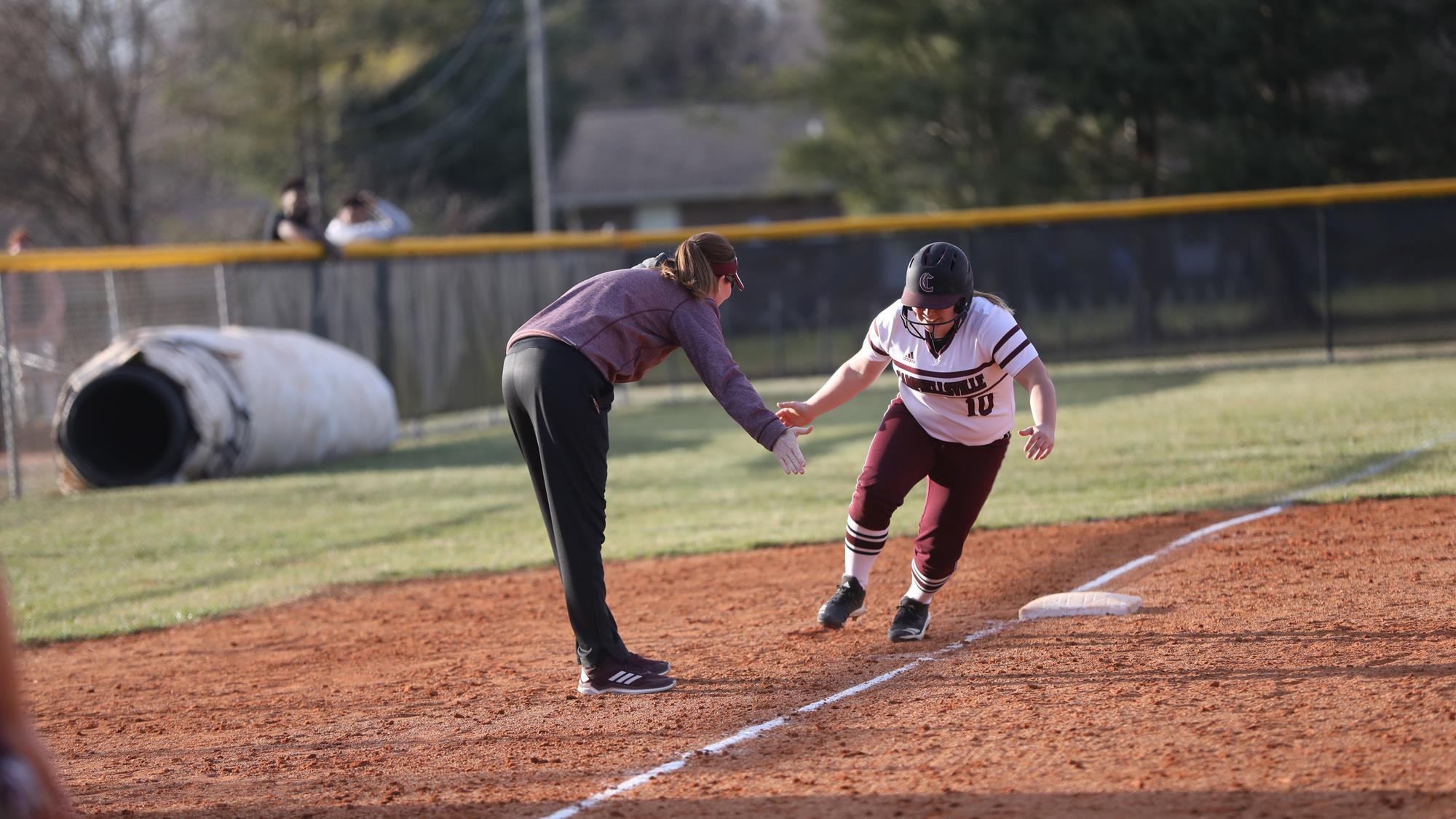 Dana Adkins - Softball - Campbellsville University Athletics