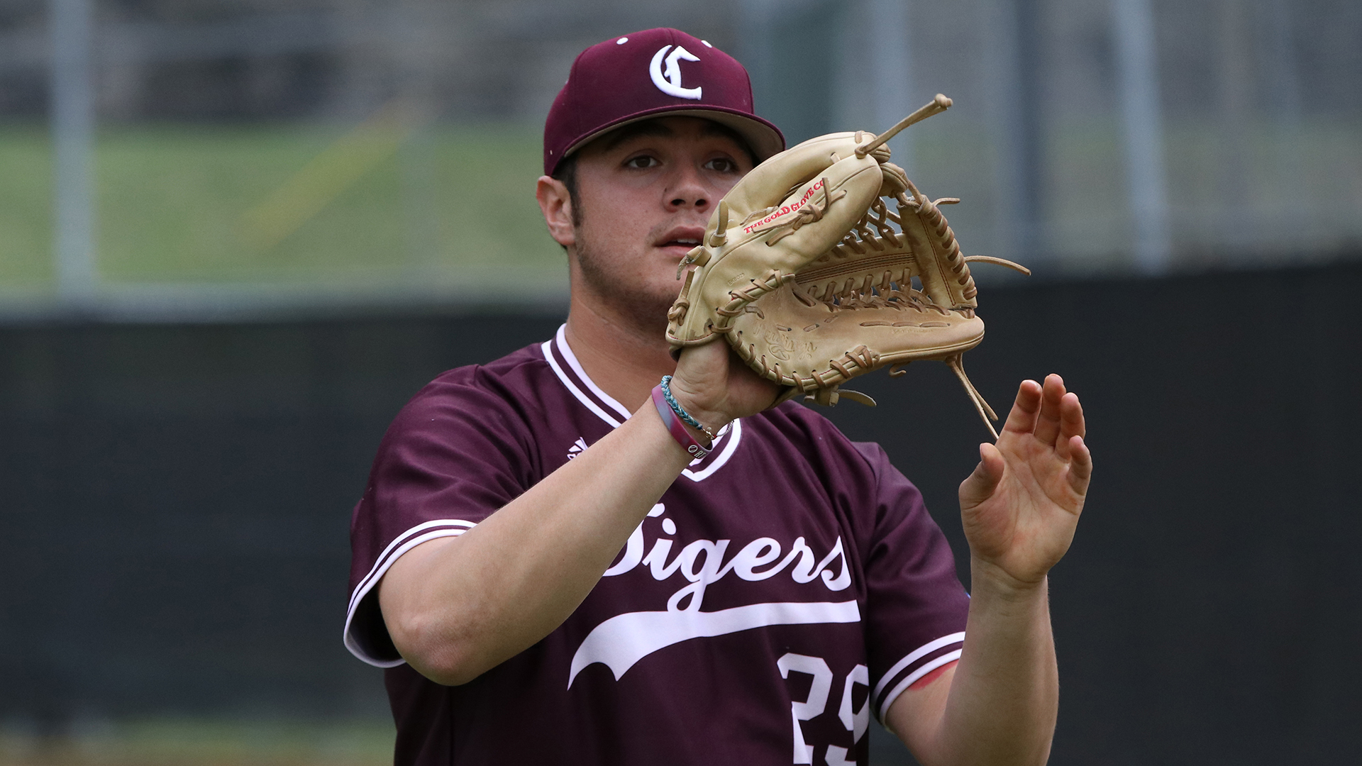 Anthony Arias - Baseball - Campbellsville University Athletics