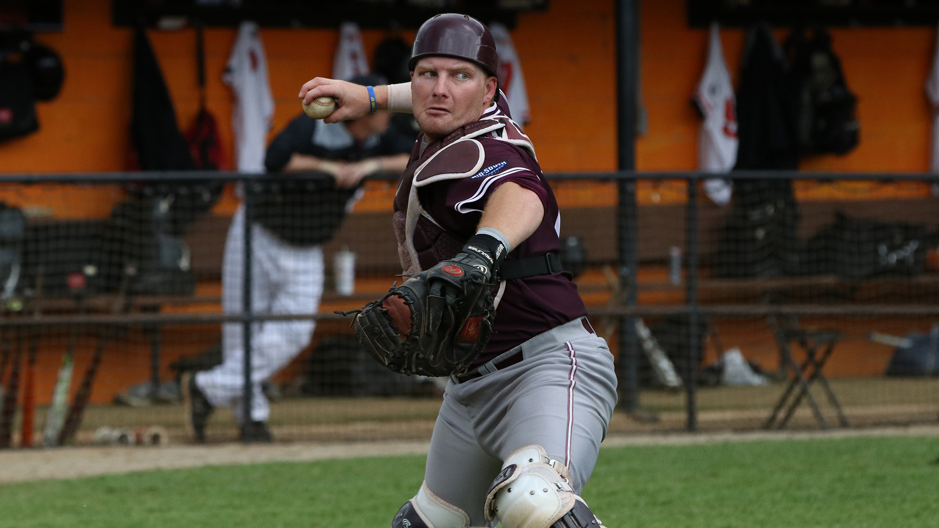 Austin Peterson - Baseball - Campbellsville University Athletics