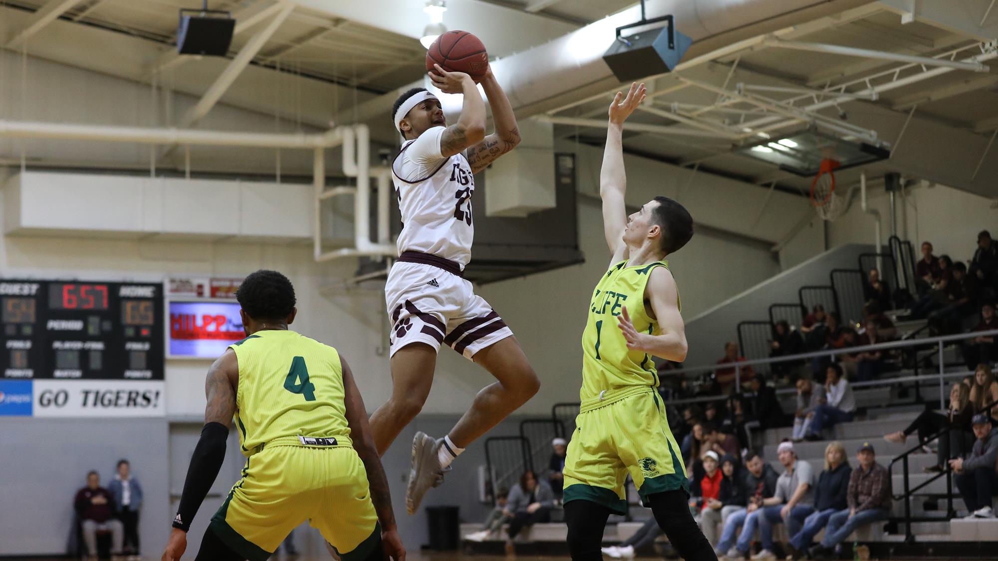 Richie Mitchell - Men's Basketball - Campbellsville University Athletics