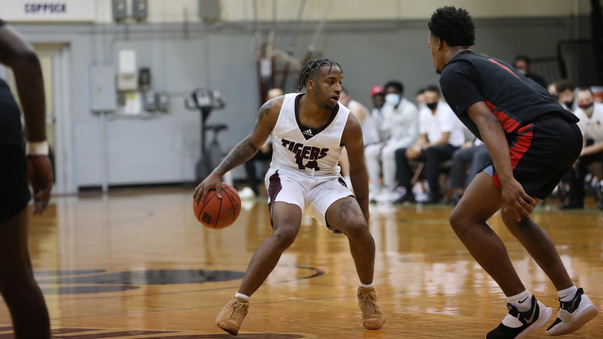 Taiveyhon Mason - Men's Basketball - Campbellsville University Athletics